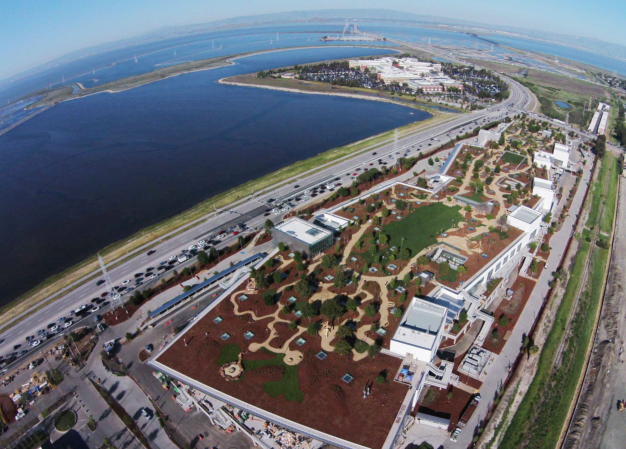 See Photos of Facebook New Campus With Grass Roof in Menlo Park