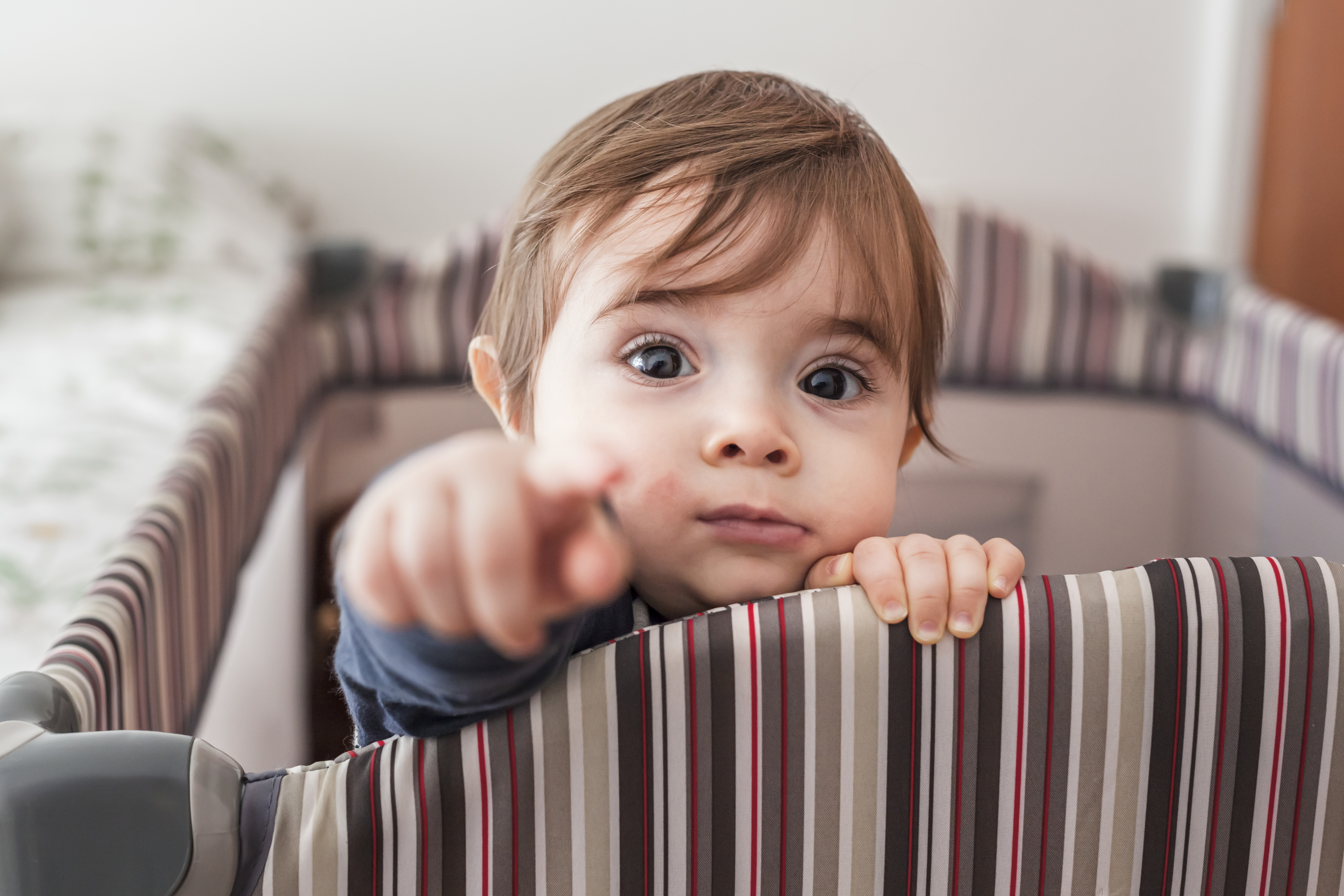 Is Morality Innate? A Study on 8-Month-Olds Suggests It Is