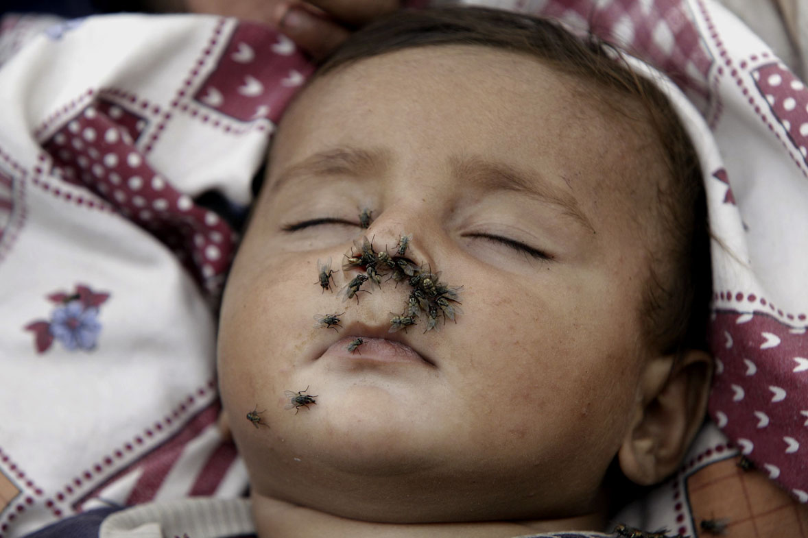 The Most Surprising Pictures of 2010