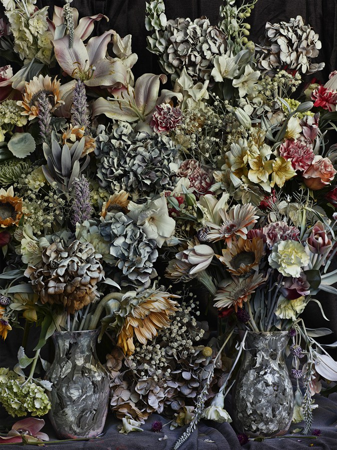 Art Show: Abe Morell Explores the Language of Flowers