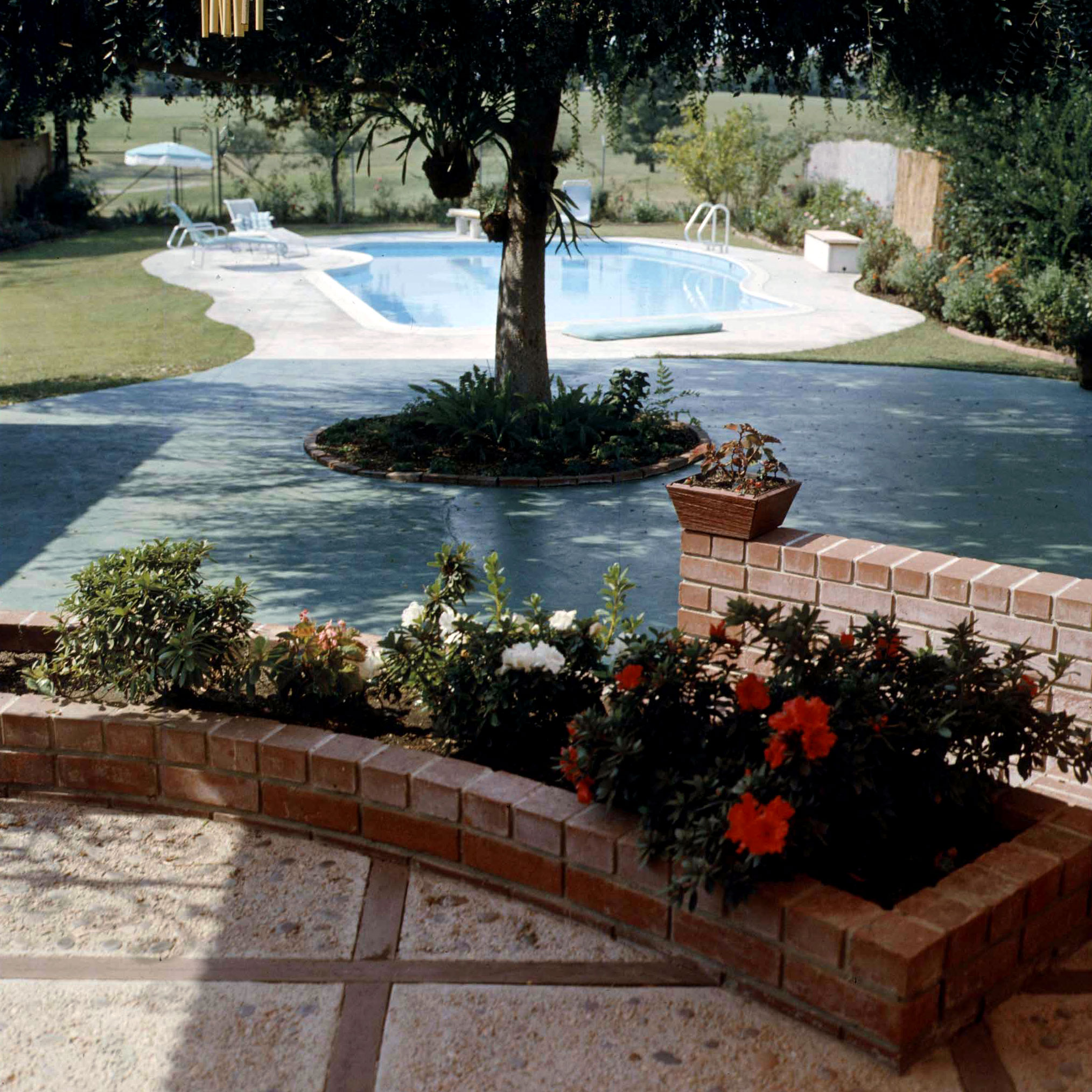 Swimming Season: Vintage Poolside Photos From 1960