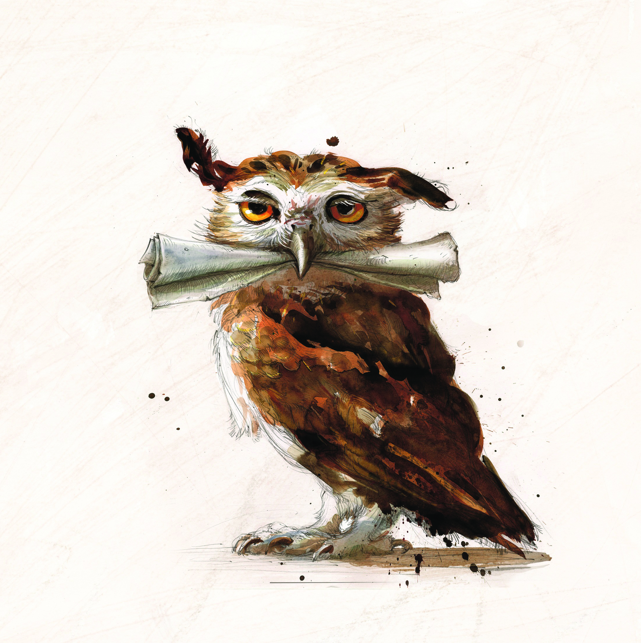 Harry Potter Illustrated Edition New Images