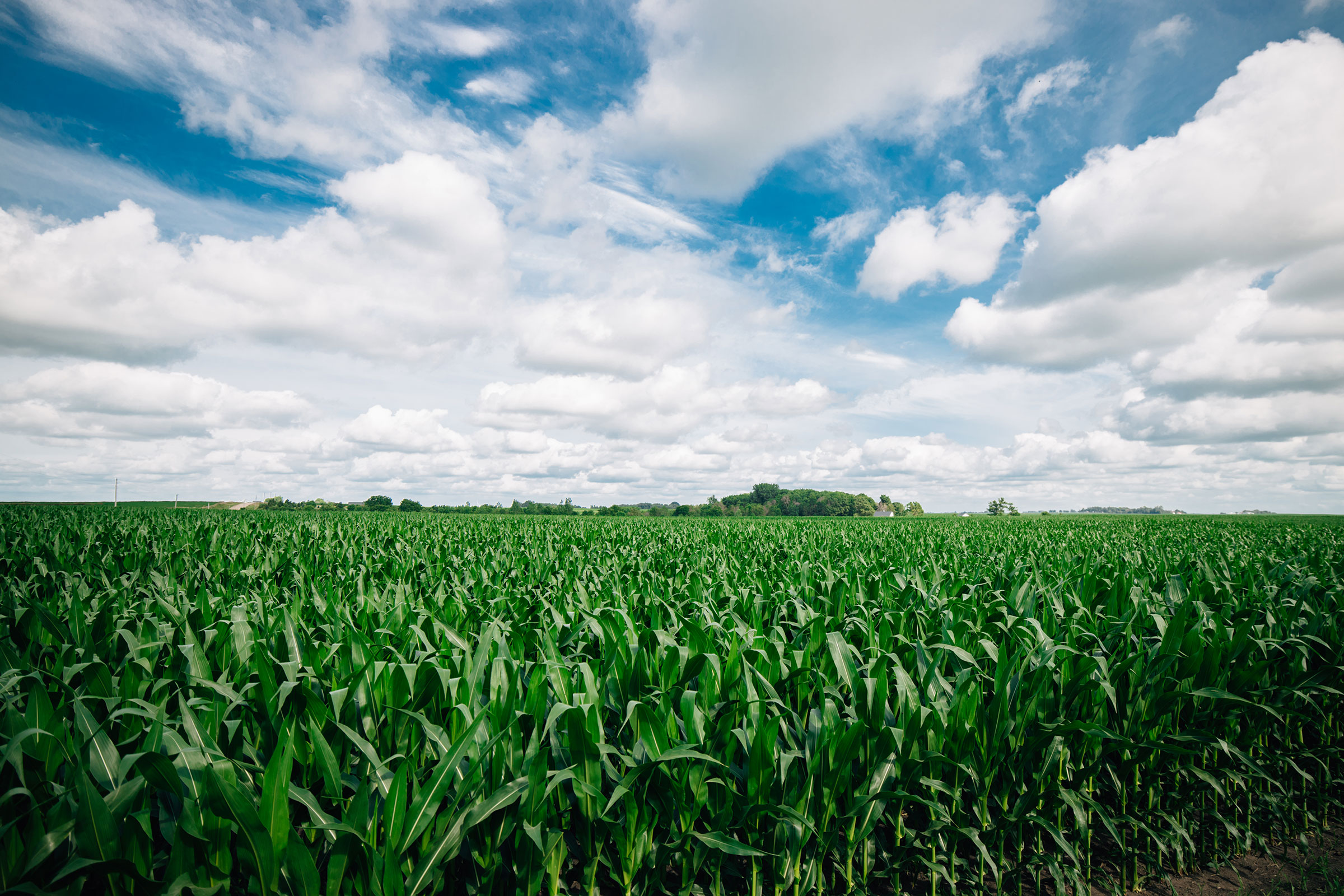Pivot Bio Proven 40 On-Seed: The 200 Best Inventions of 2023