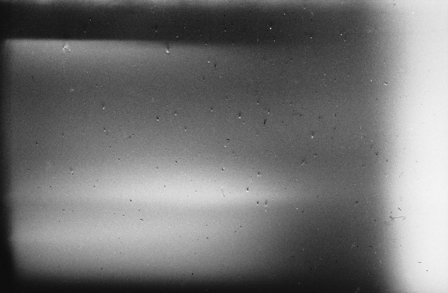 Paul Schutzer: A Great Photographer's Final Pictures