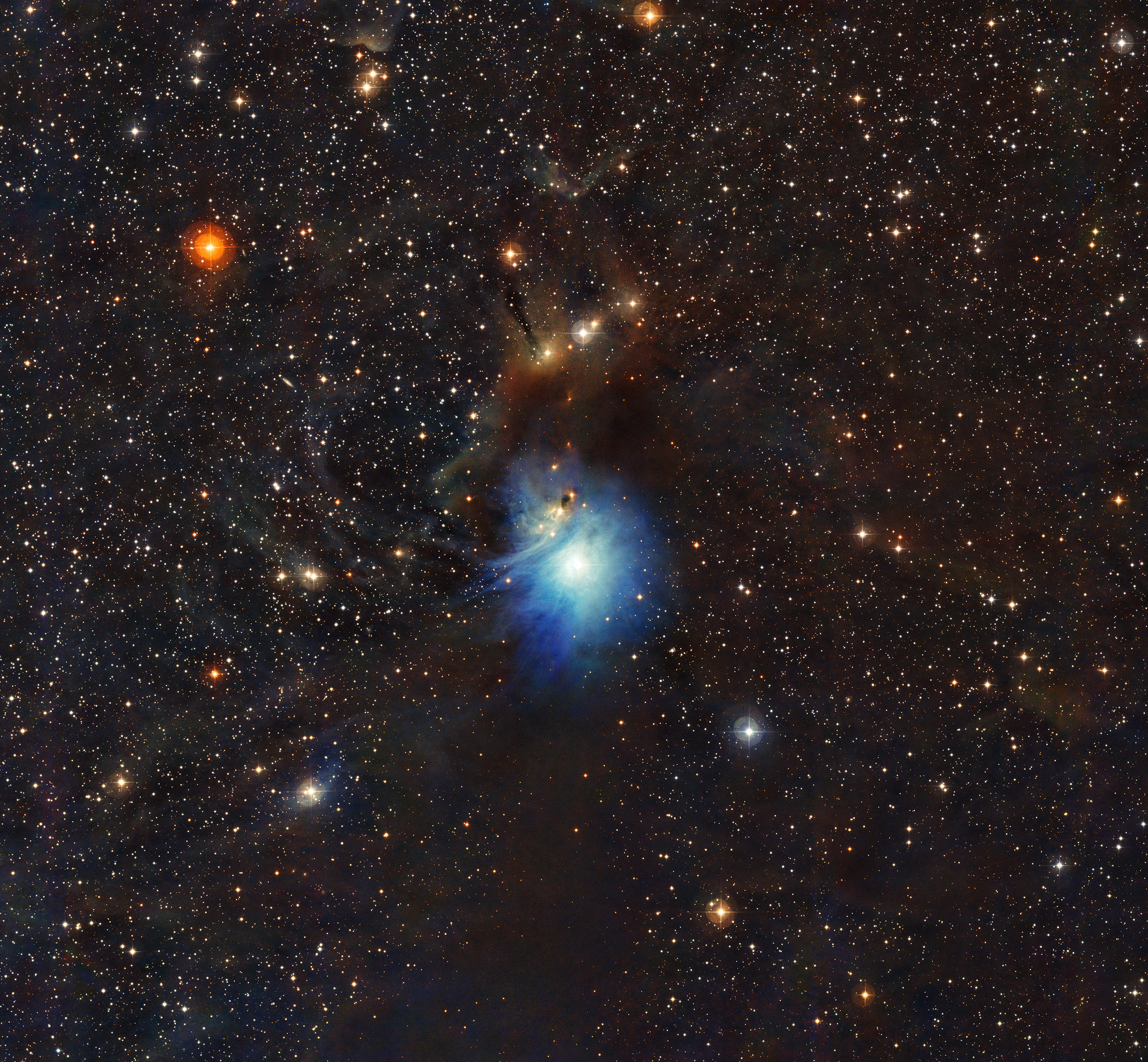 nebula | TIME