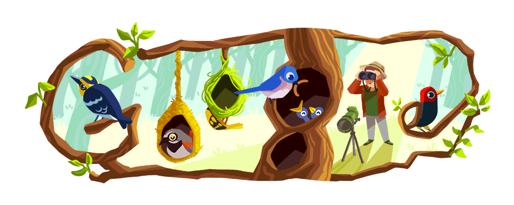 Phoebe Snetsinger's Google Doodle Features Birds