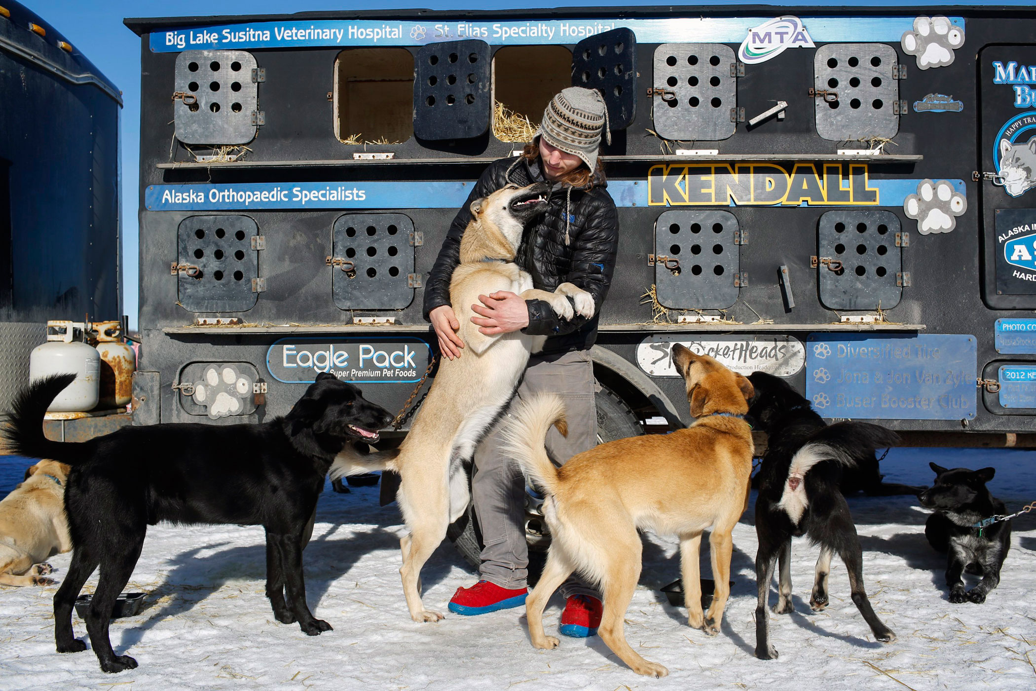 2016 Iditarod Trail Sled Dog Race: See the Best Photos