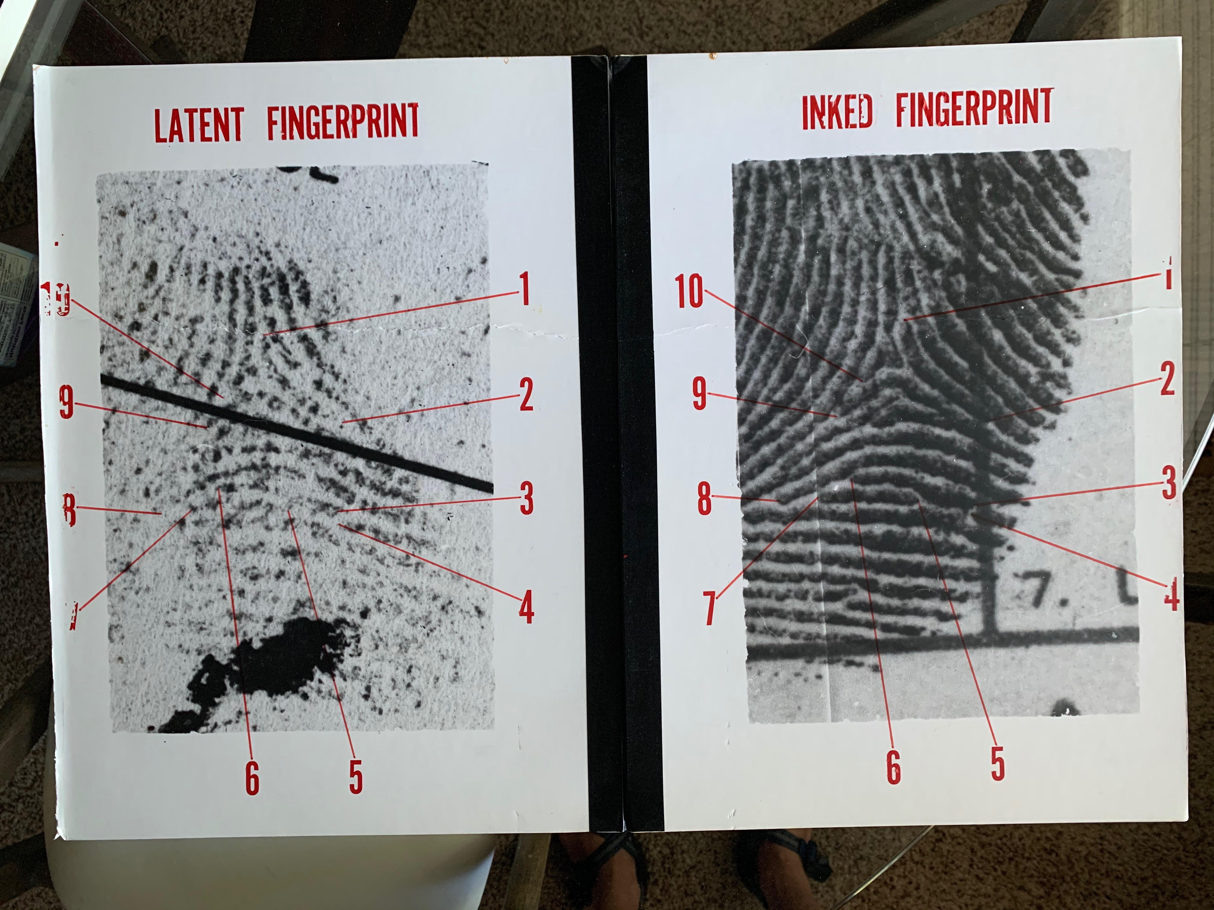 How a Palm Print Broke Open the Polly Klaas Case