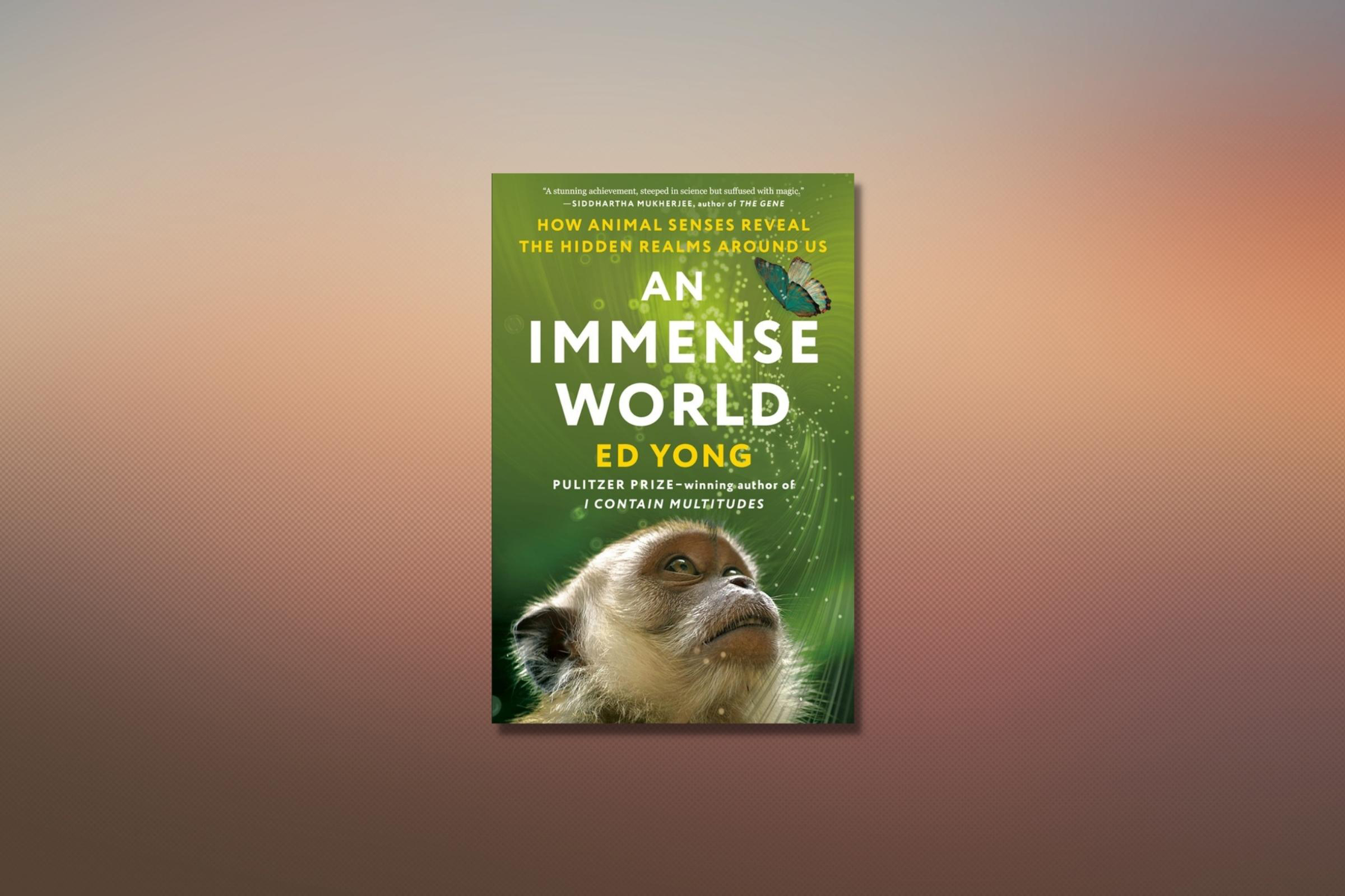 The 100 Must-Read Books of 2022