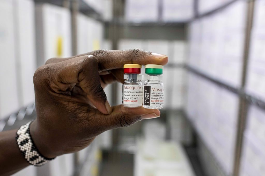 From Vaccines to Golden Rice: 10 Positive Stories From 2022