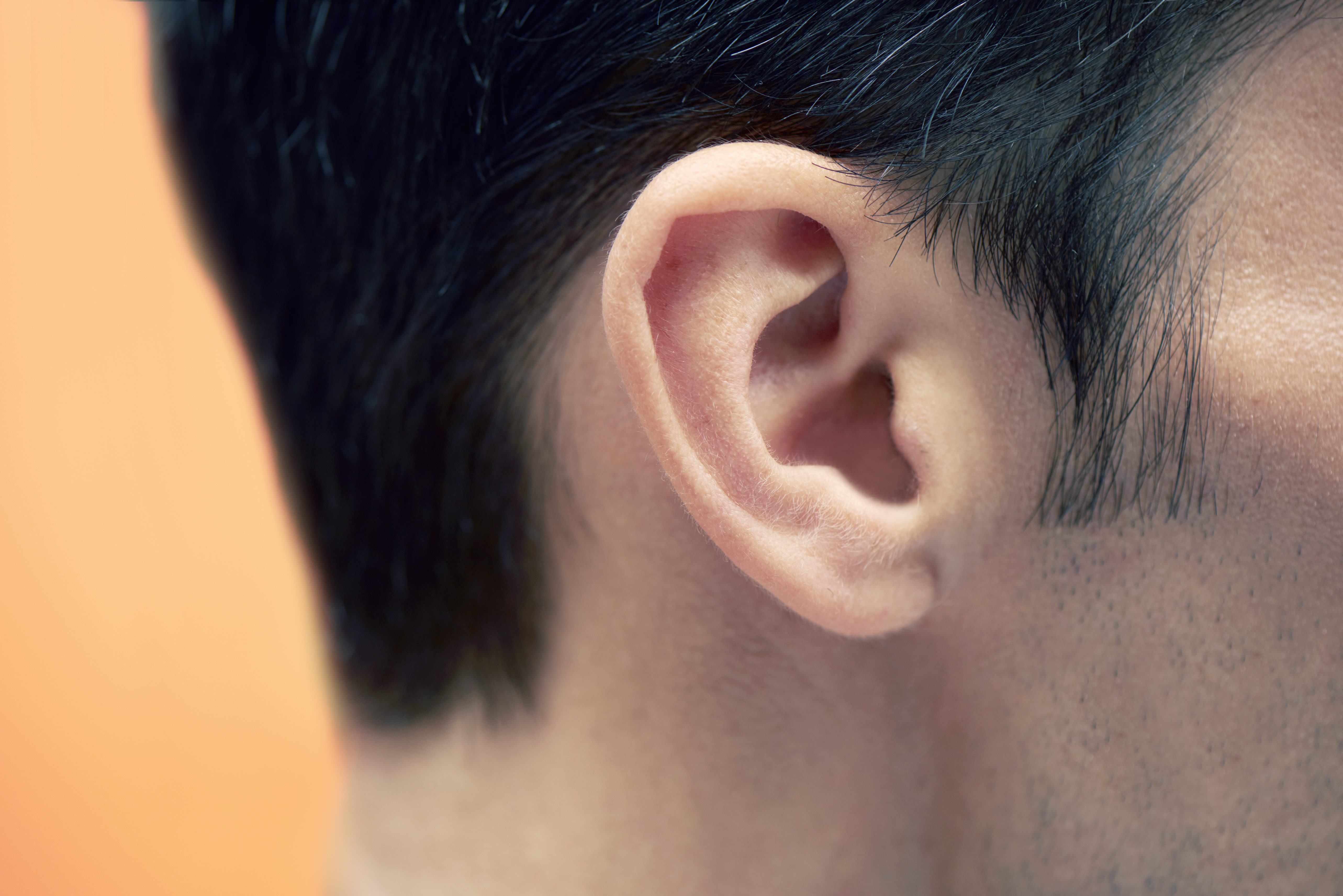 An Audiologist Explains Why You Hear 'Yanny' or 'Laurel'