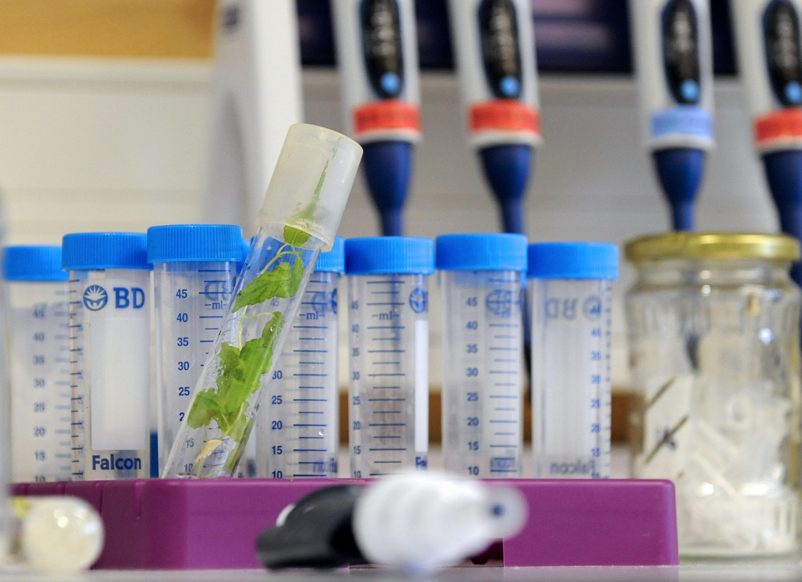 Axovant Sciences: Why Biotech Stocks Are So Wildly Unpredictable