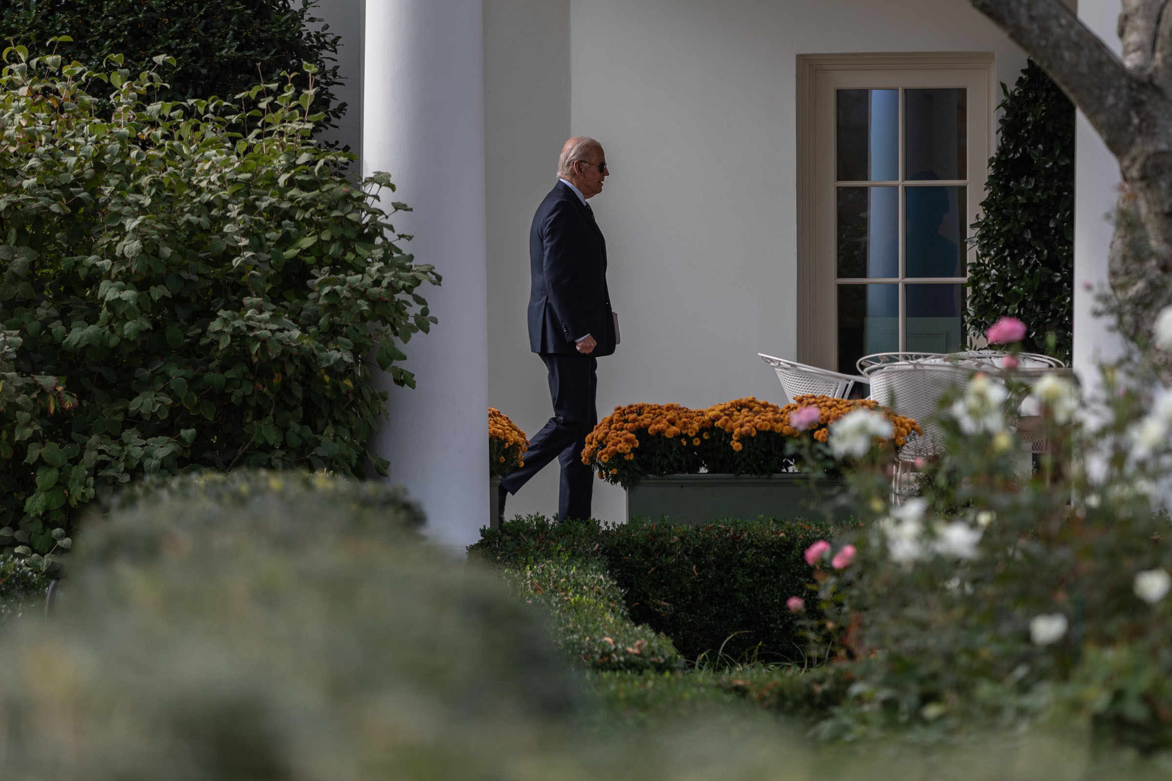 How Kamala Harris Lost the 2024 Election