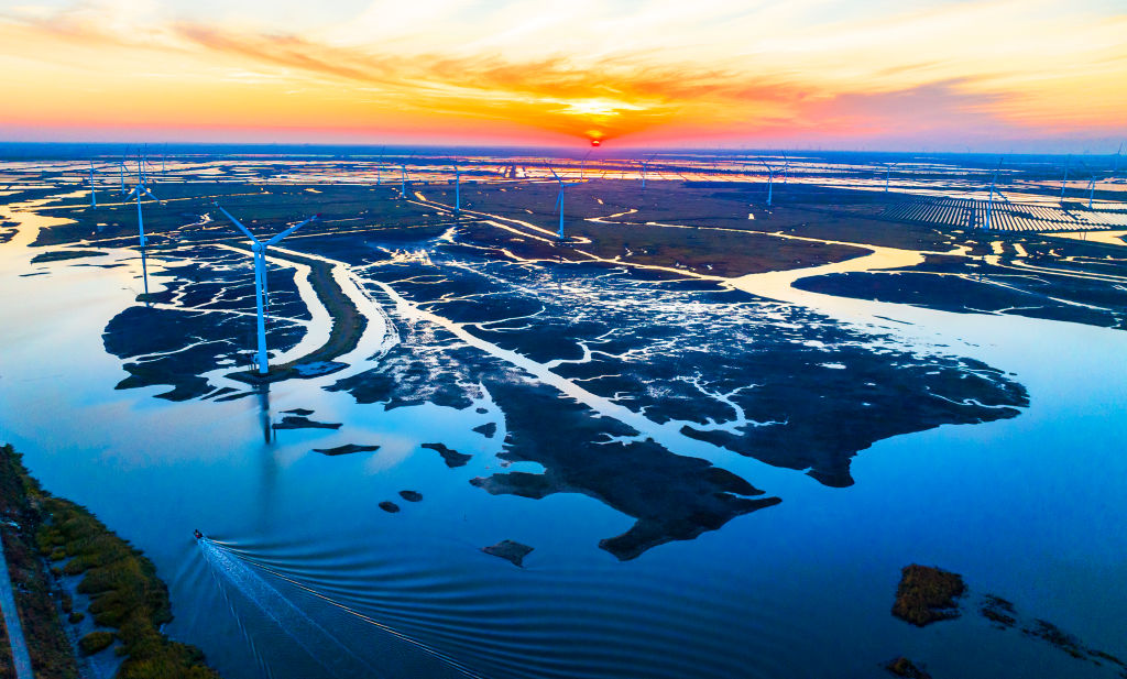The Ocean Is Our Best Chance To Survive Climate Change
