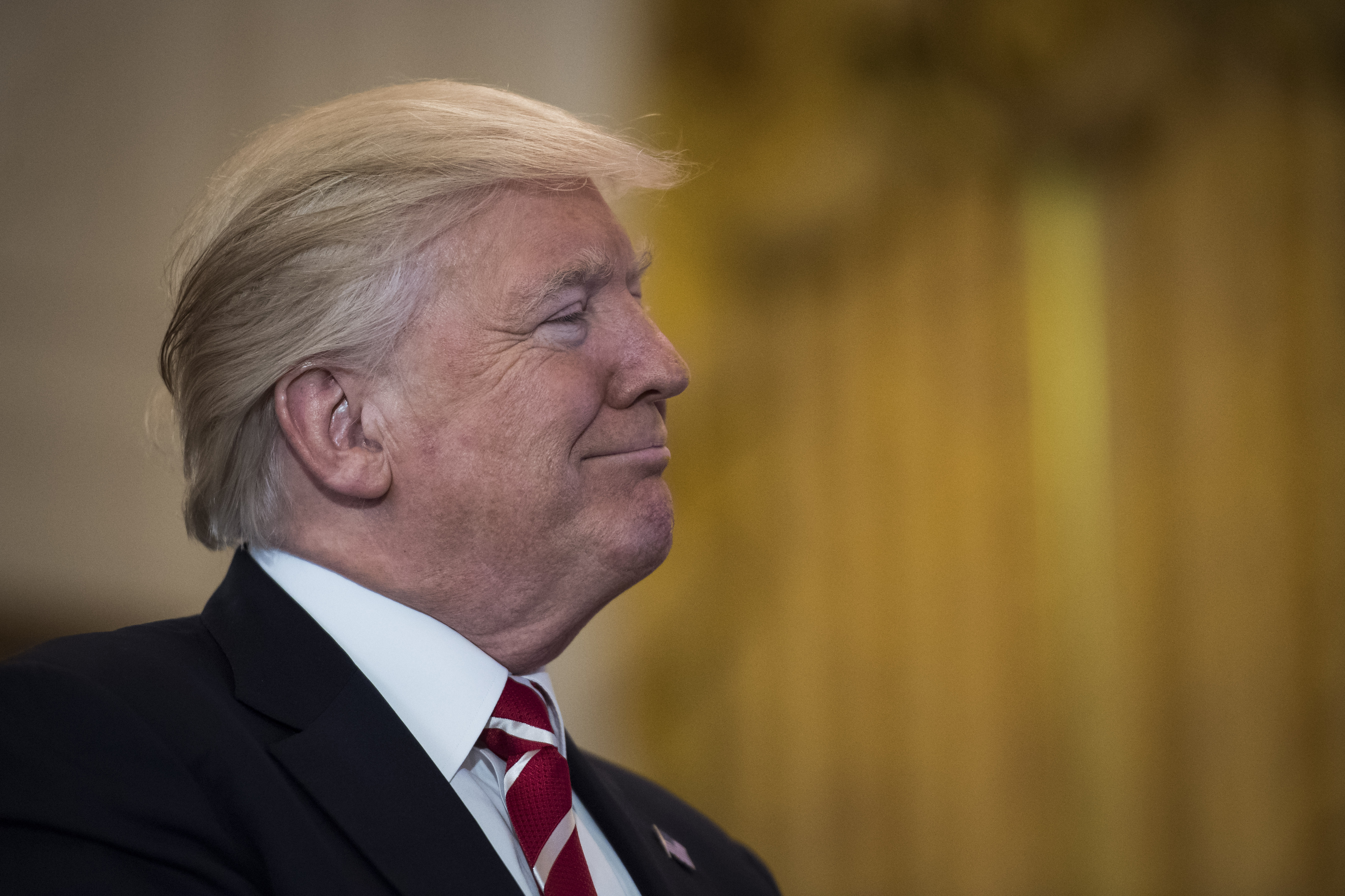 Why America Remains a Strong Liberal Democracy Despite Trump