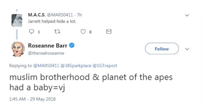Roseanne Barr's Racist Remarks, Conspiracies Before Roseanne Canceled