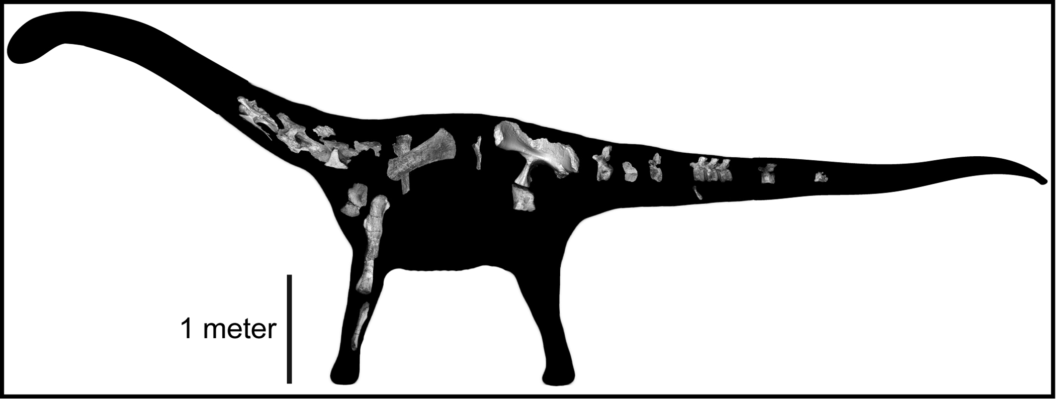 New Dinosaur Species Unearthed in Tanzania