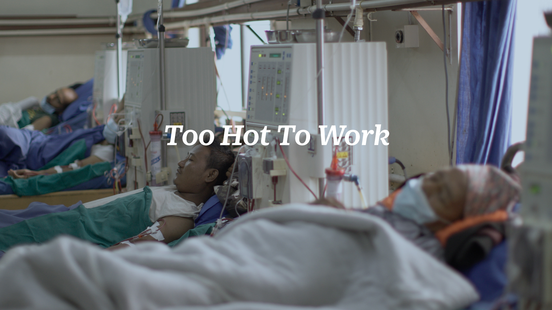 Climate Change Put World Cup Workers at Risk in Qatar