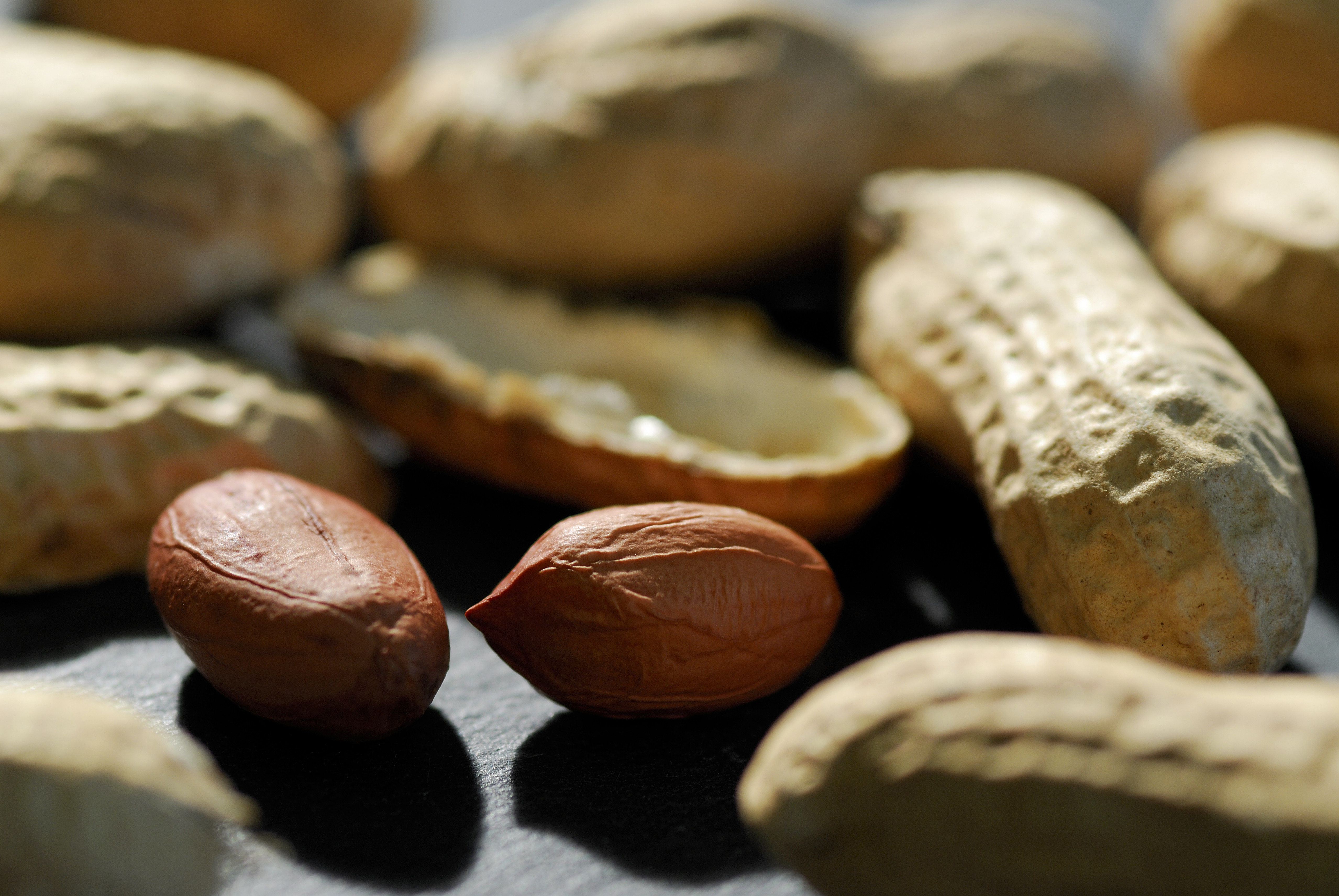 This Bacteria May One Day Cure Food Allergies