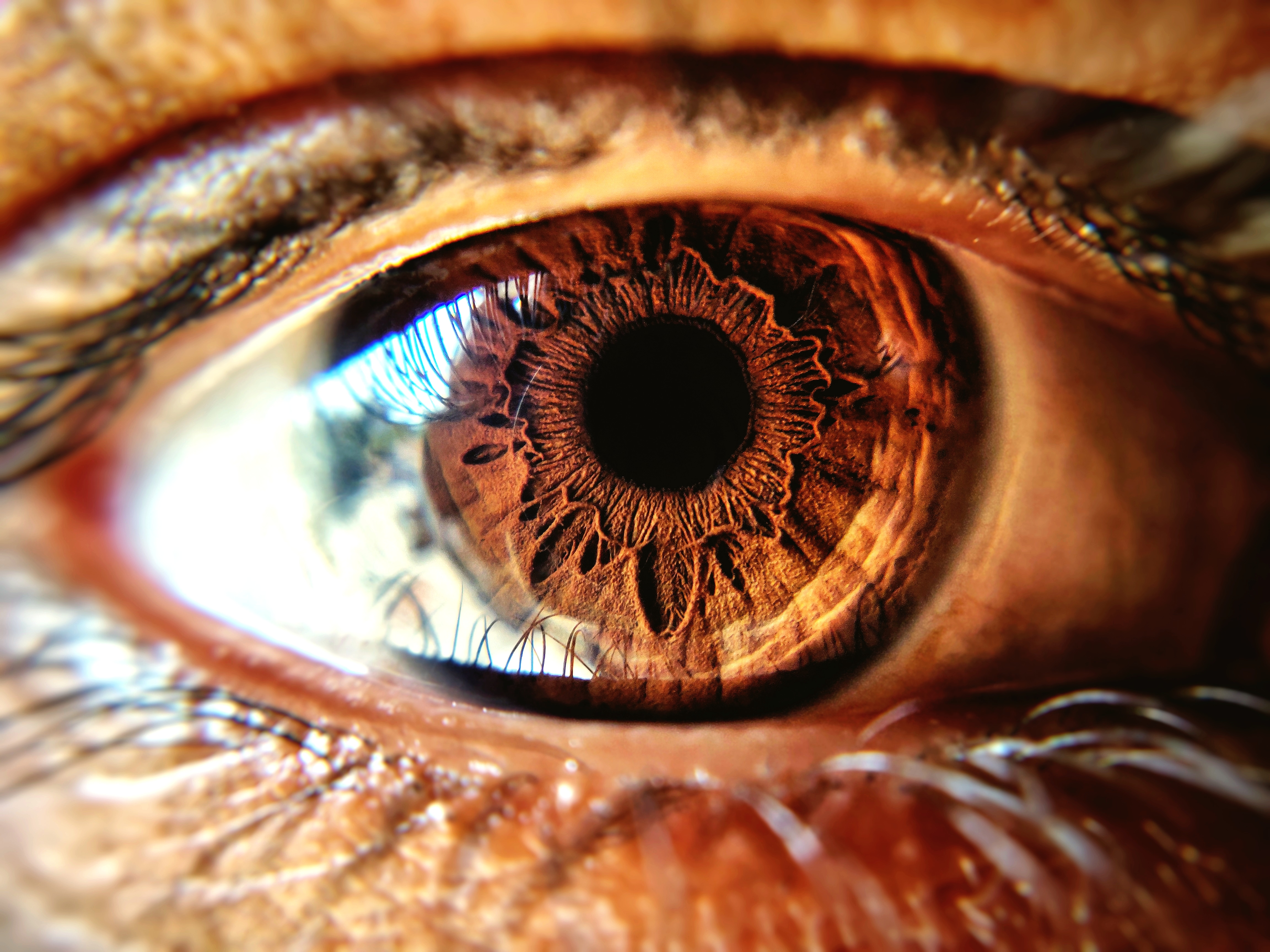 A Blind Patient Had Sight Restored in a Breakthrough Study