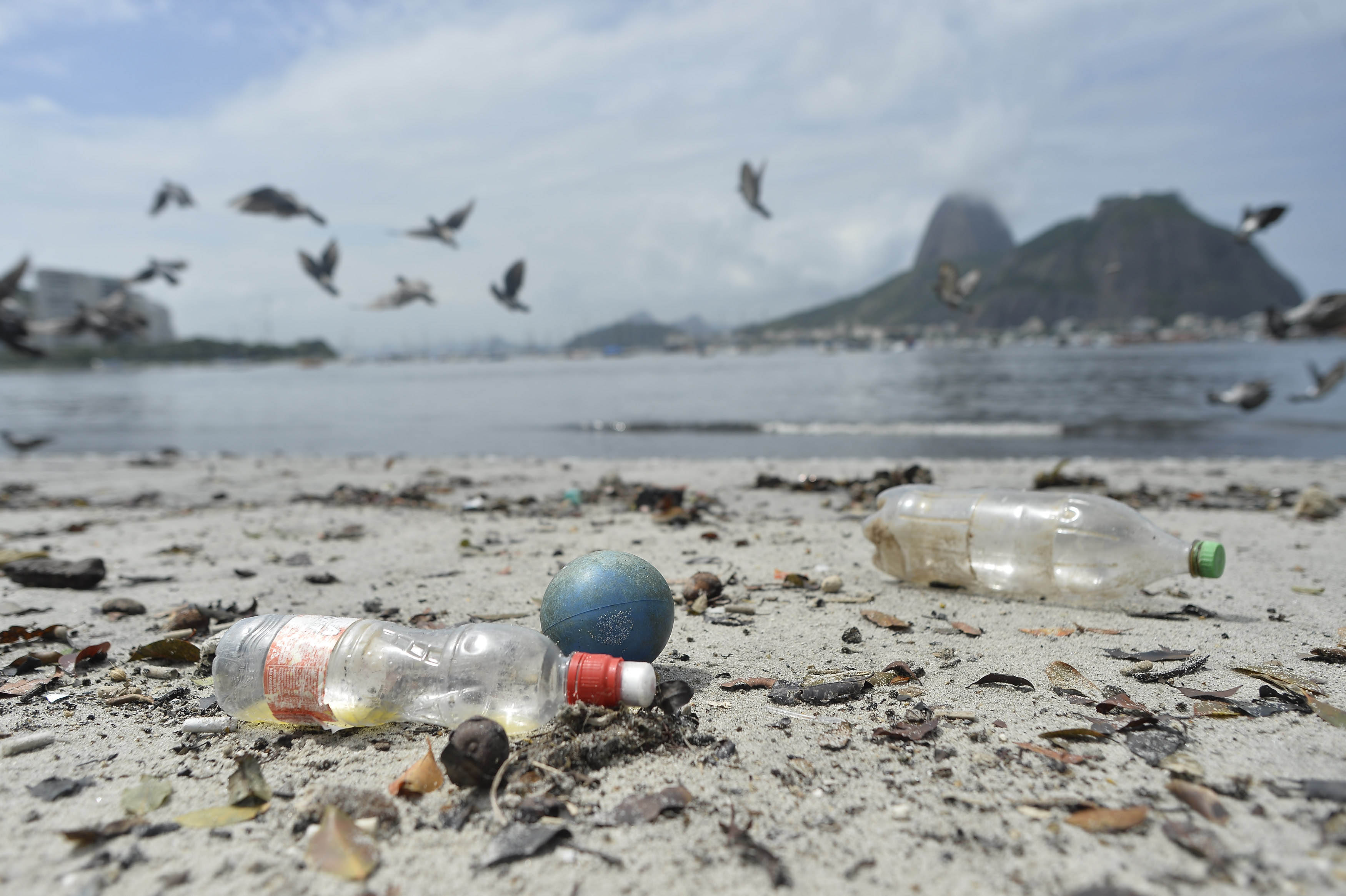 Plastic Bag Found Found at Deepest Point in Ocean