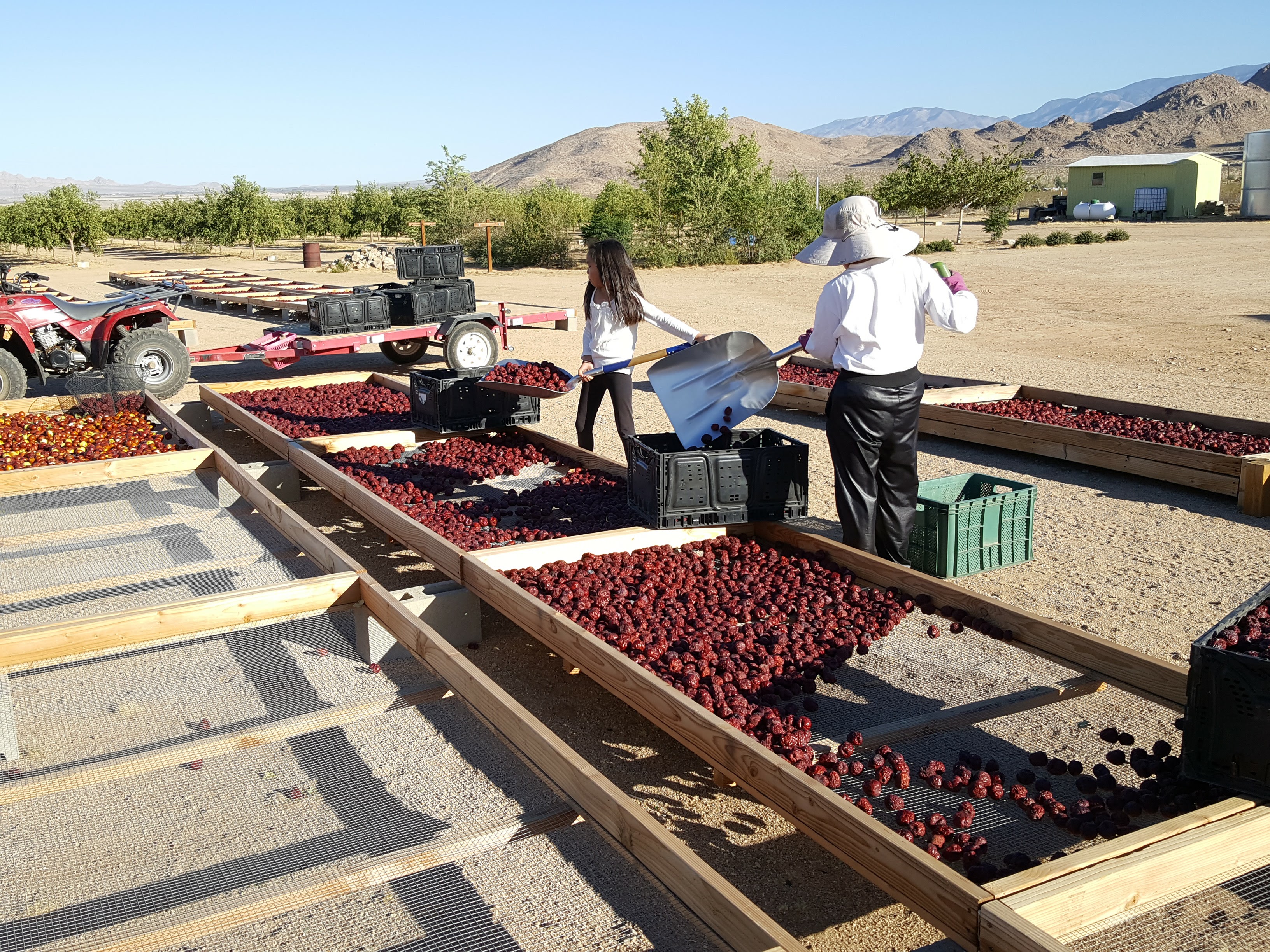 Korean American Farmers on 'Minari' and Their Own Experience