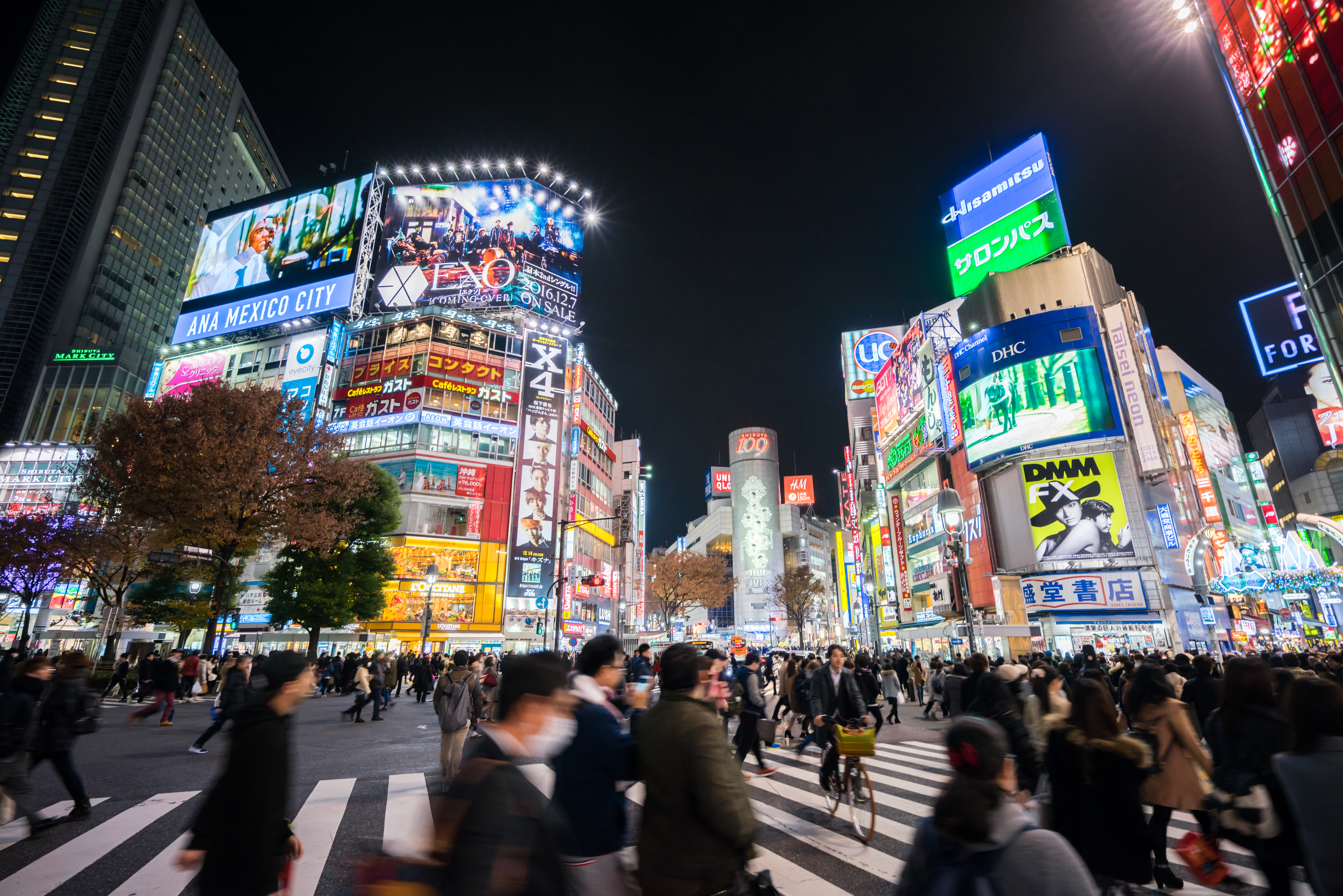 20 Most Populated Cities in the World