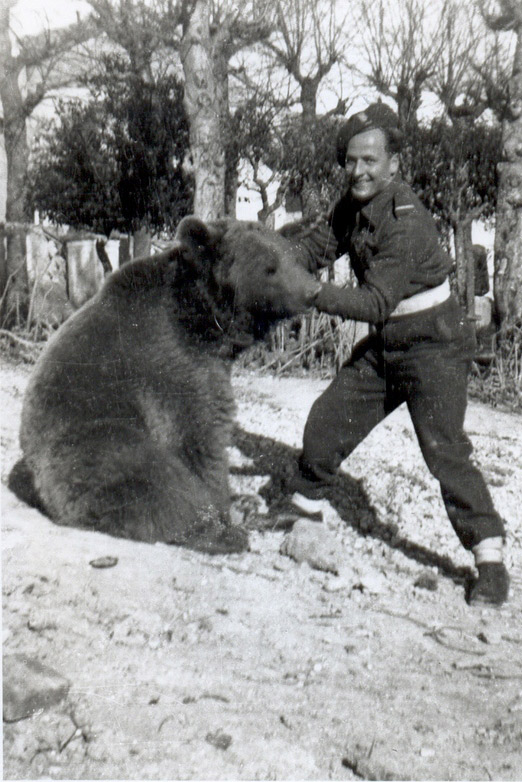 Wojtek the Bear: Surprising World War II Animal Hero