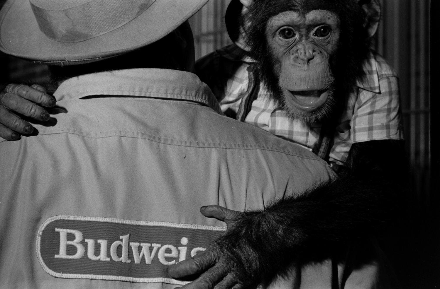 The Busch Clan: Portrait of an American Beer Dynasty at Play