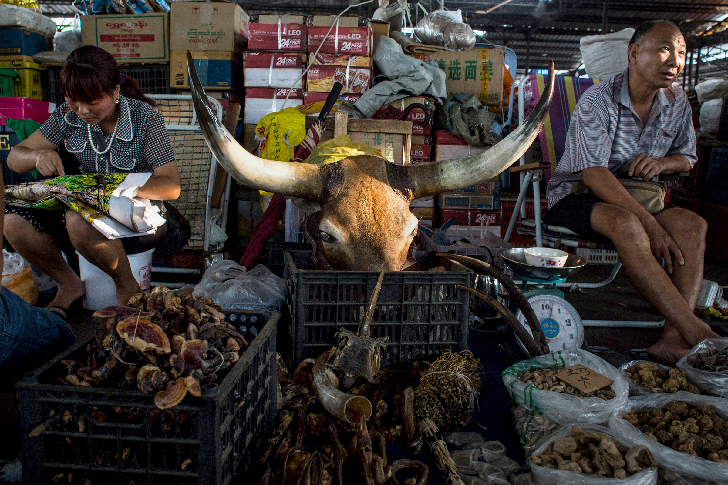 Inside Southeast Asia’s Criminal Resurgence