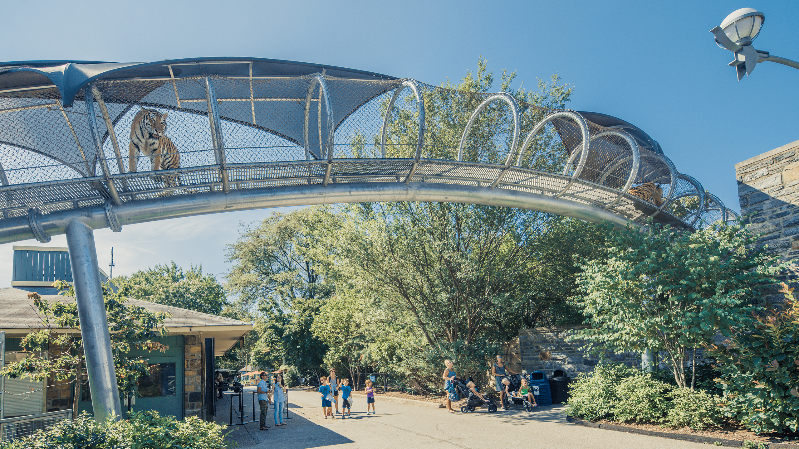 The Future of Zoos: Challenges Force Zoos to Change in Big Ways