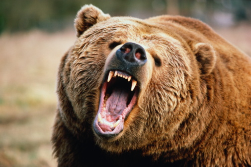 The Man Who Plays the Bear in The Revenant Is Speaking Out