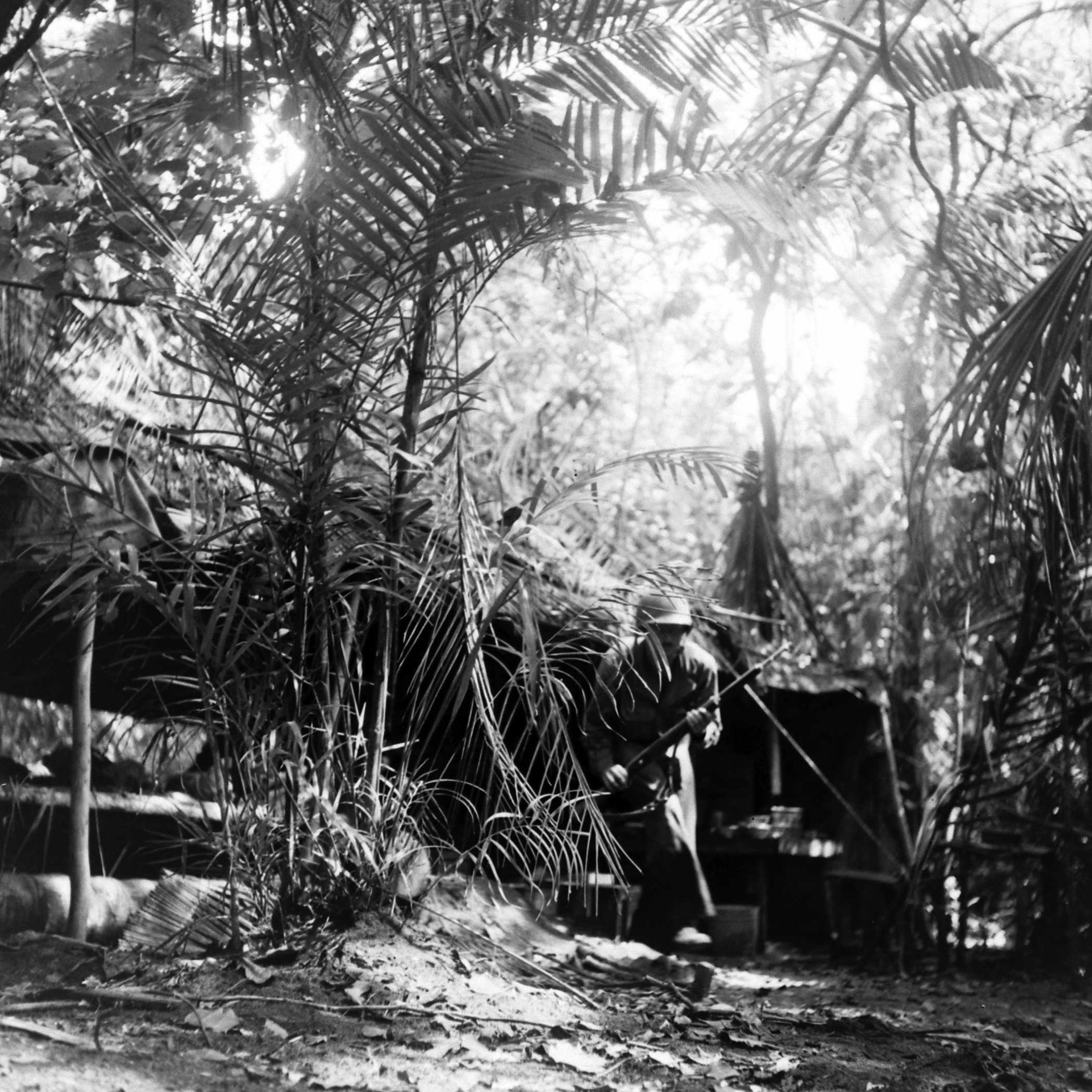 'Dead Americans at Buna Beach': The Photo That Won World War II