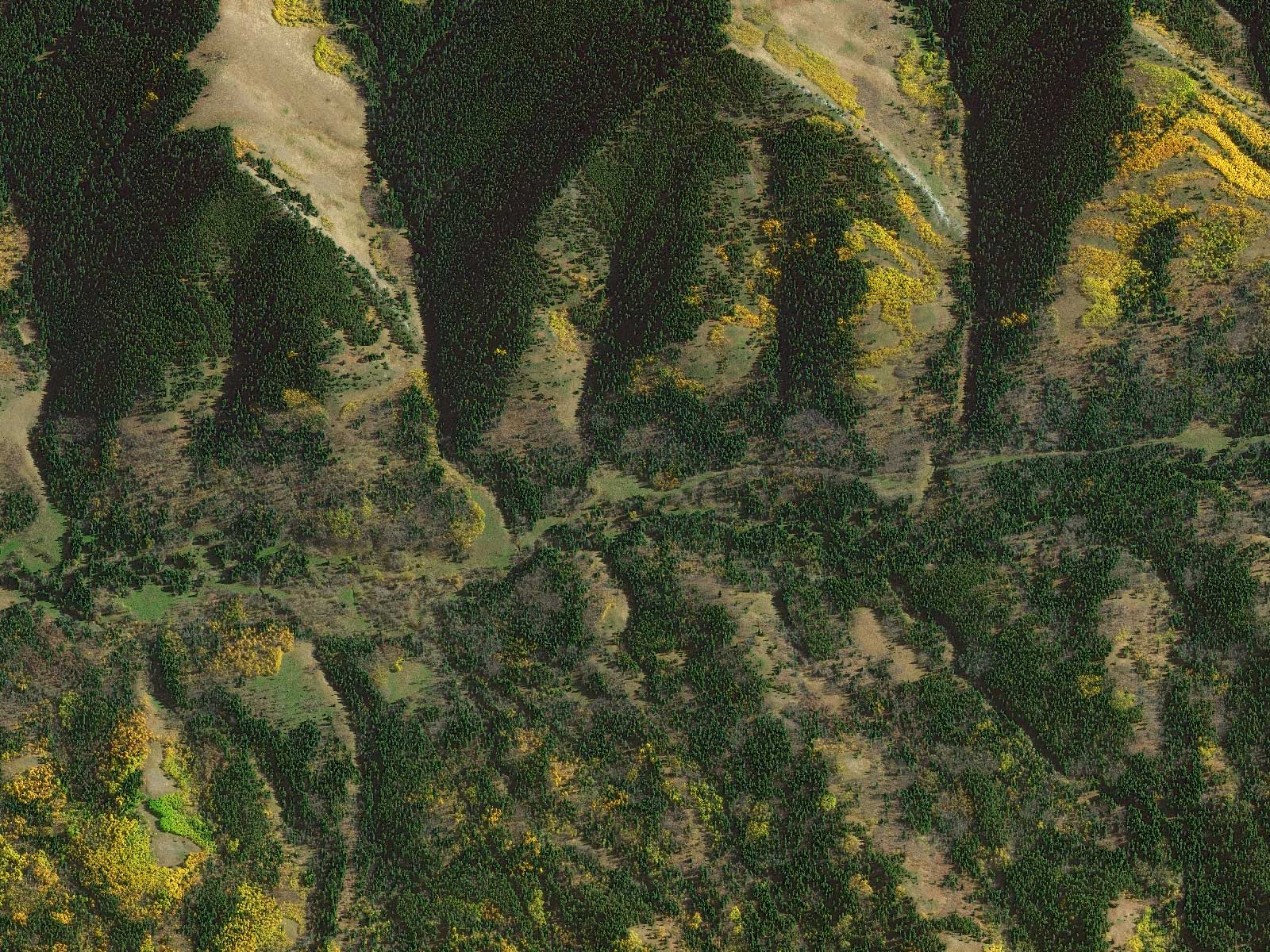 DigitalGlobe: Satellite Imagery Provider Picking Best Picture in 2014