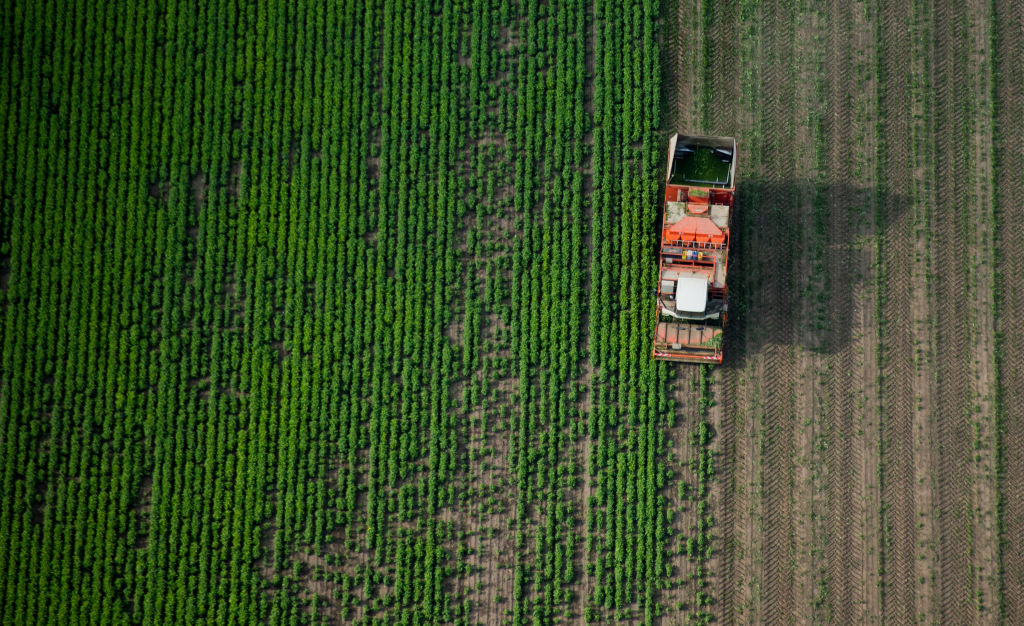Germany Rolls Back Environmental Rules To Boost Crops