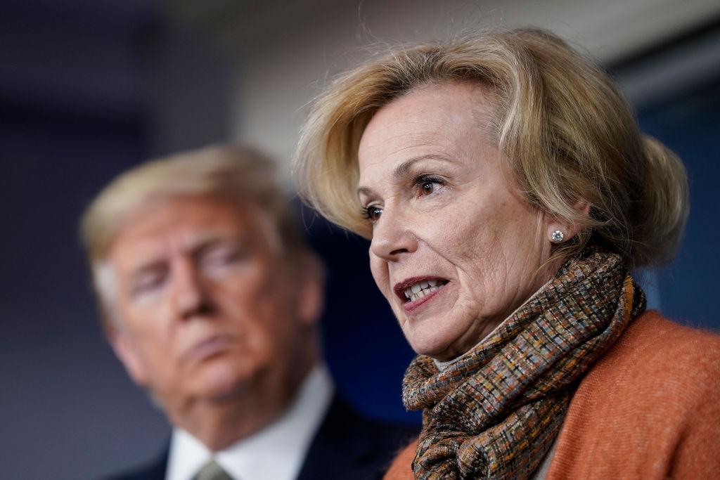 Birx: Trump "Digesting" Intel When Speaking on Disinfectants