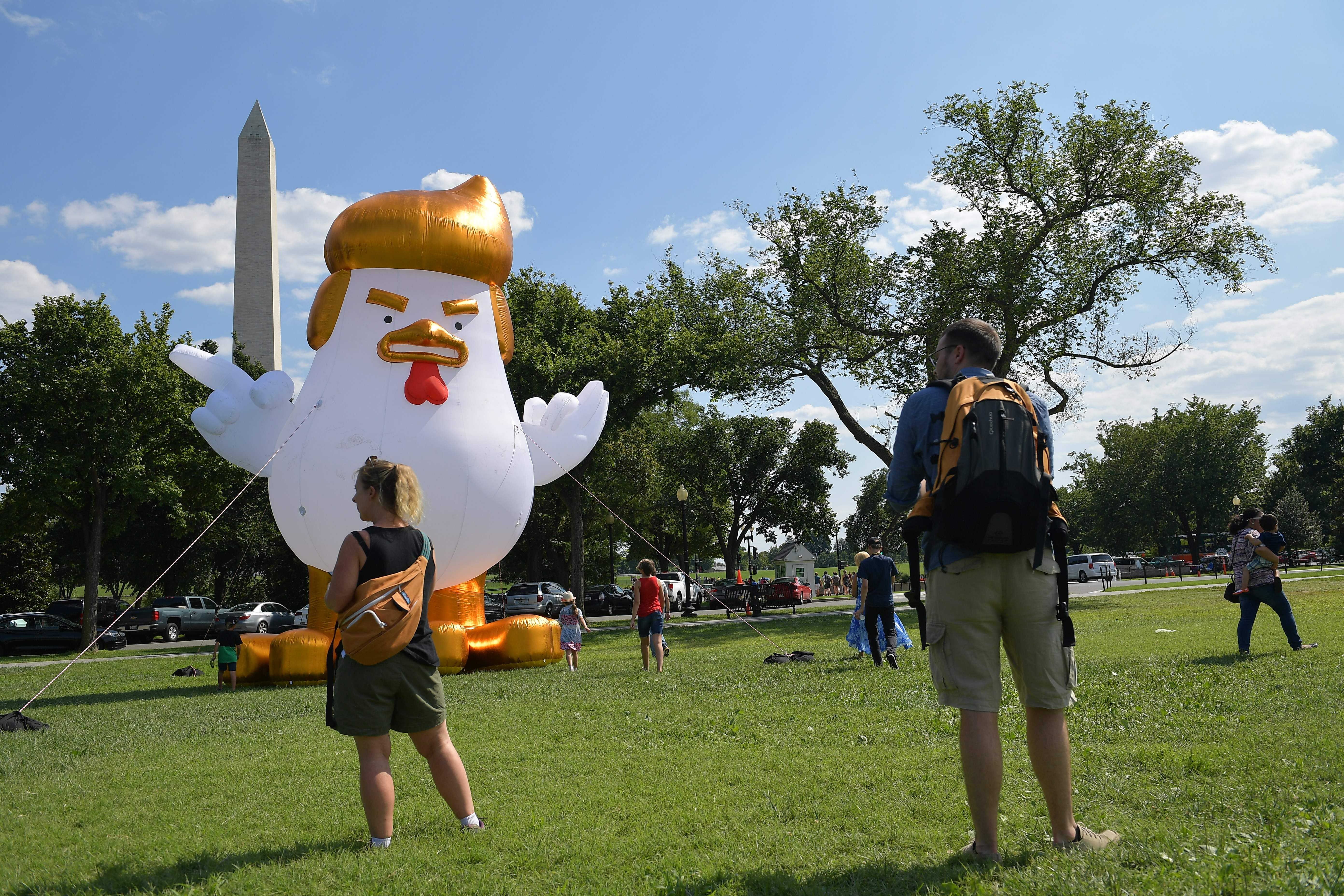 Donald Trump: Inflatable Chicken Protest Takes Flight