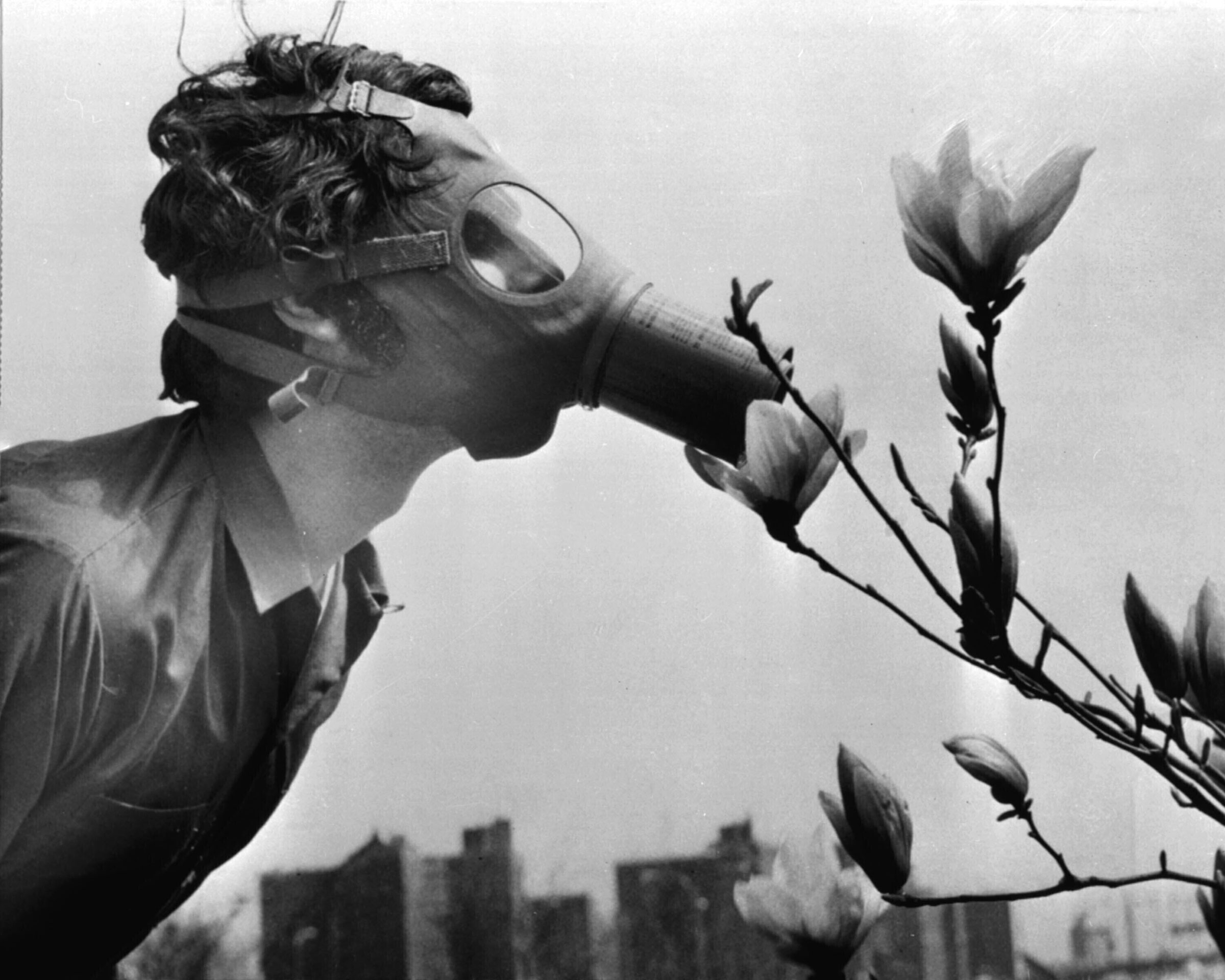 10 Surprising Facts About Earth Day