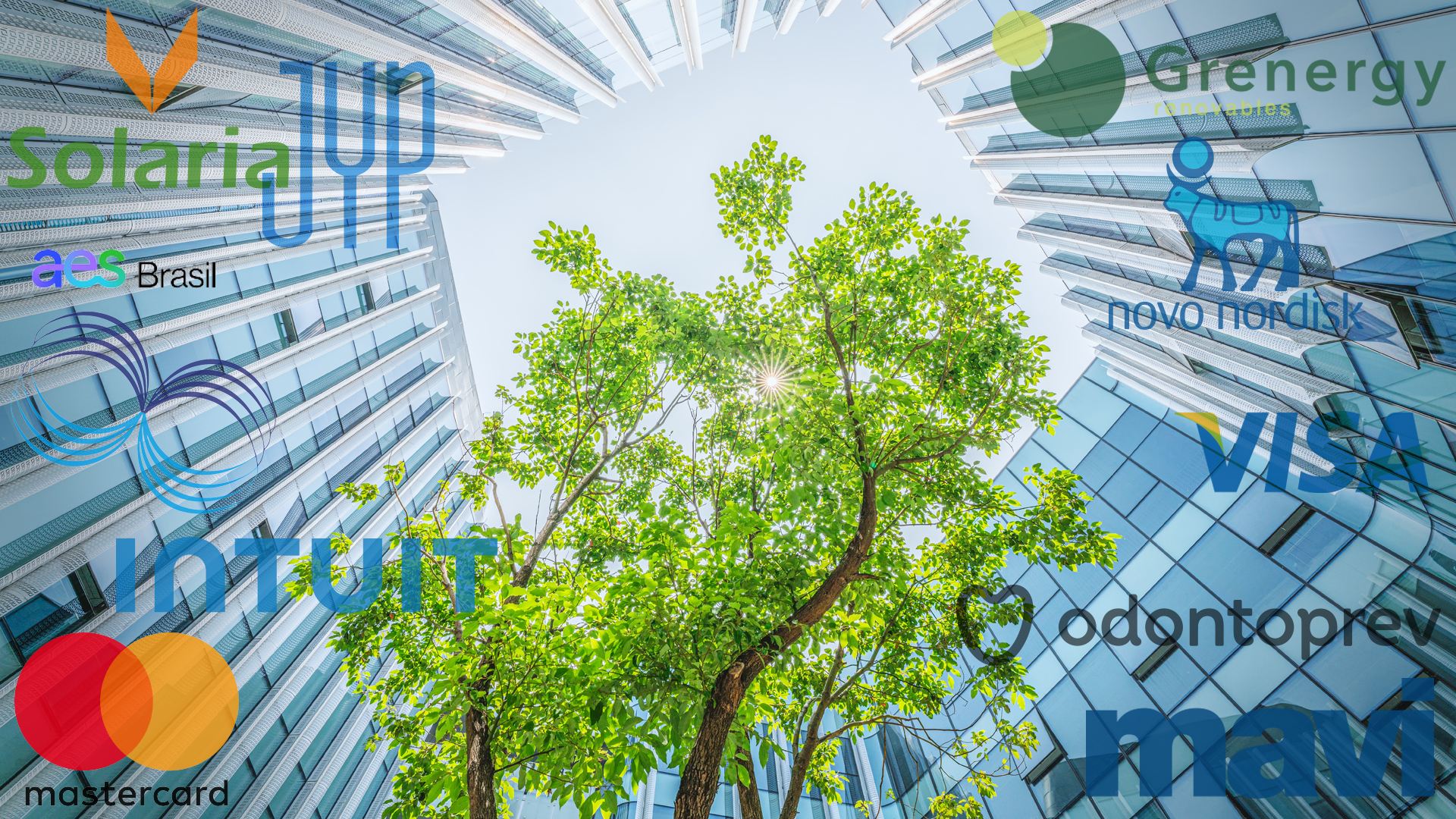 World's Best Companies in Sustainable Growth 2025