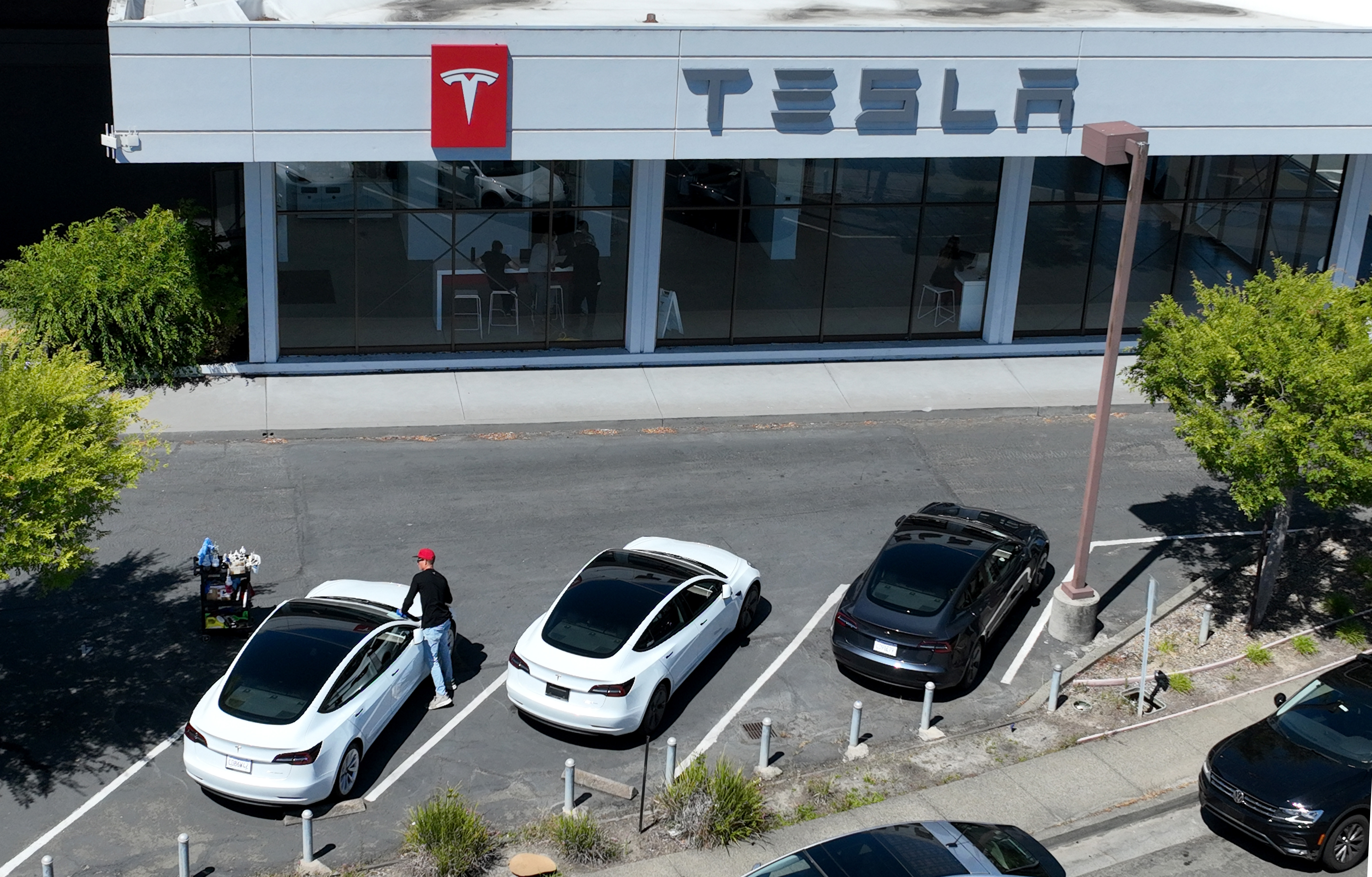 New Electric Vehicles Create Competition for Musk's Tesla
