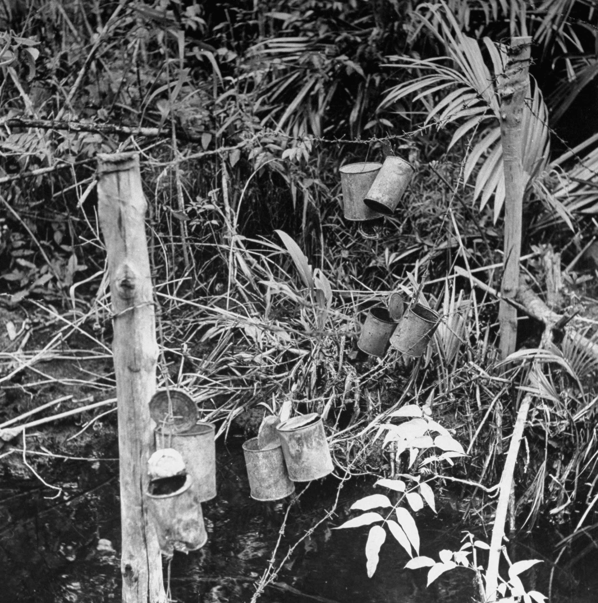 'Dead Americans at Buna Beach': The Photo That Won World War II