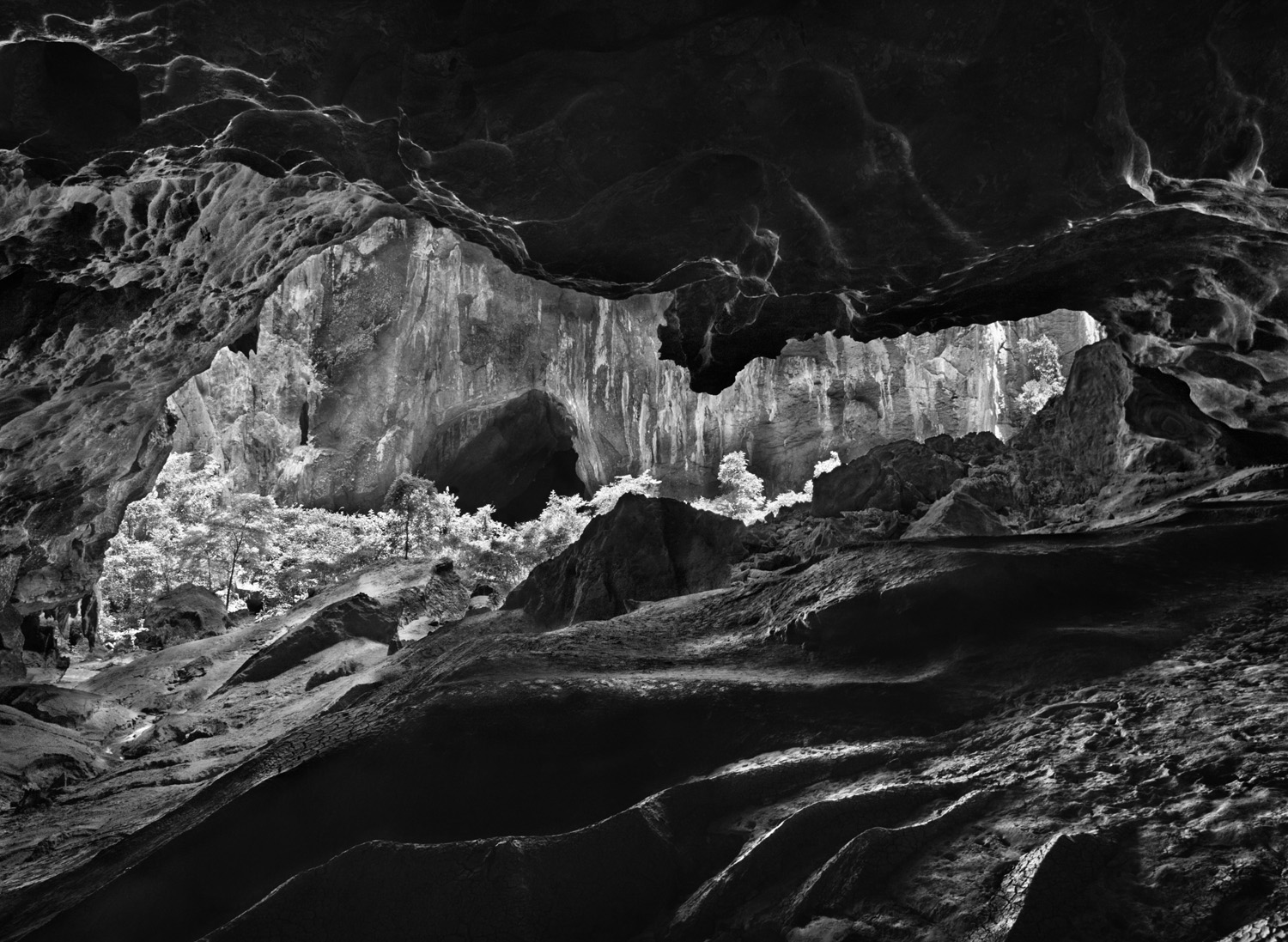 In the Beginnings: Sebastião Salgado's Genesis