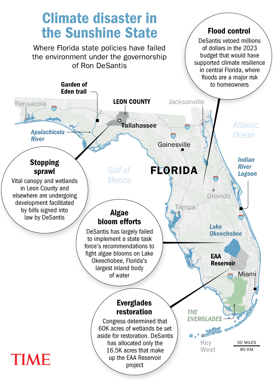 Florida’s Environmental Failure Is a Warning for Rest of U.S