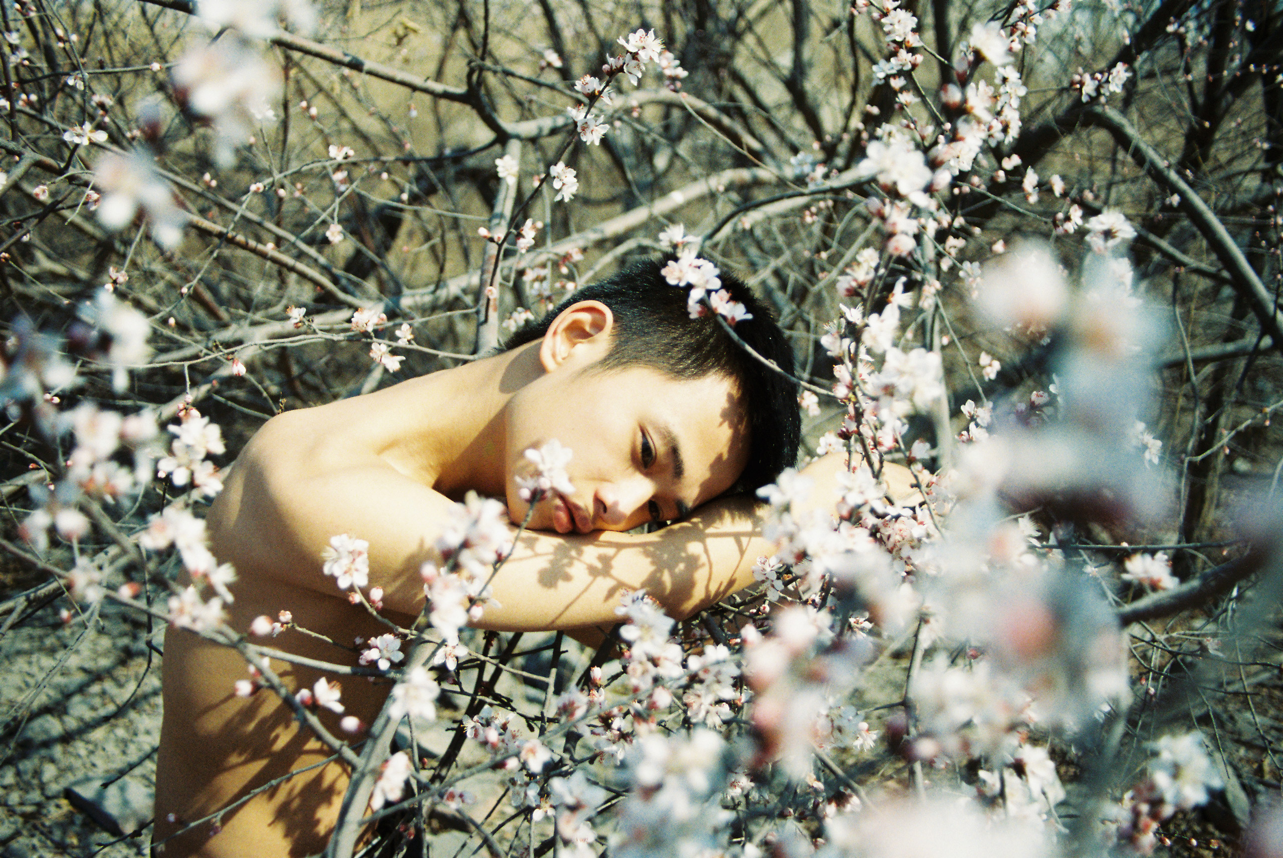 Ai Weiwei on Ren Hang's Photographs