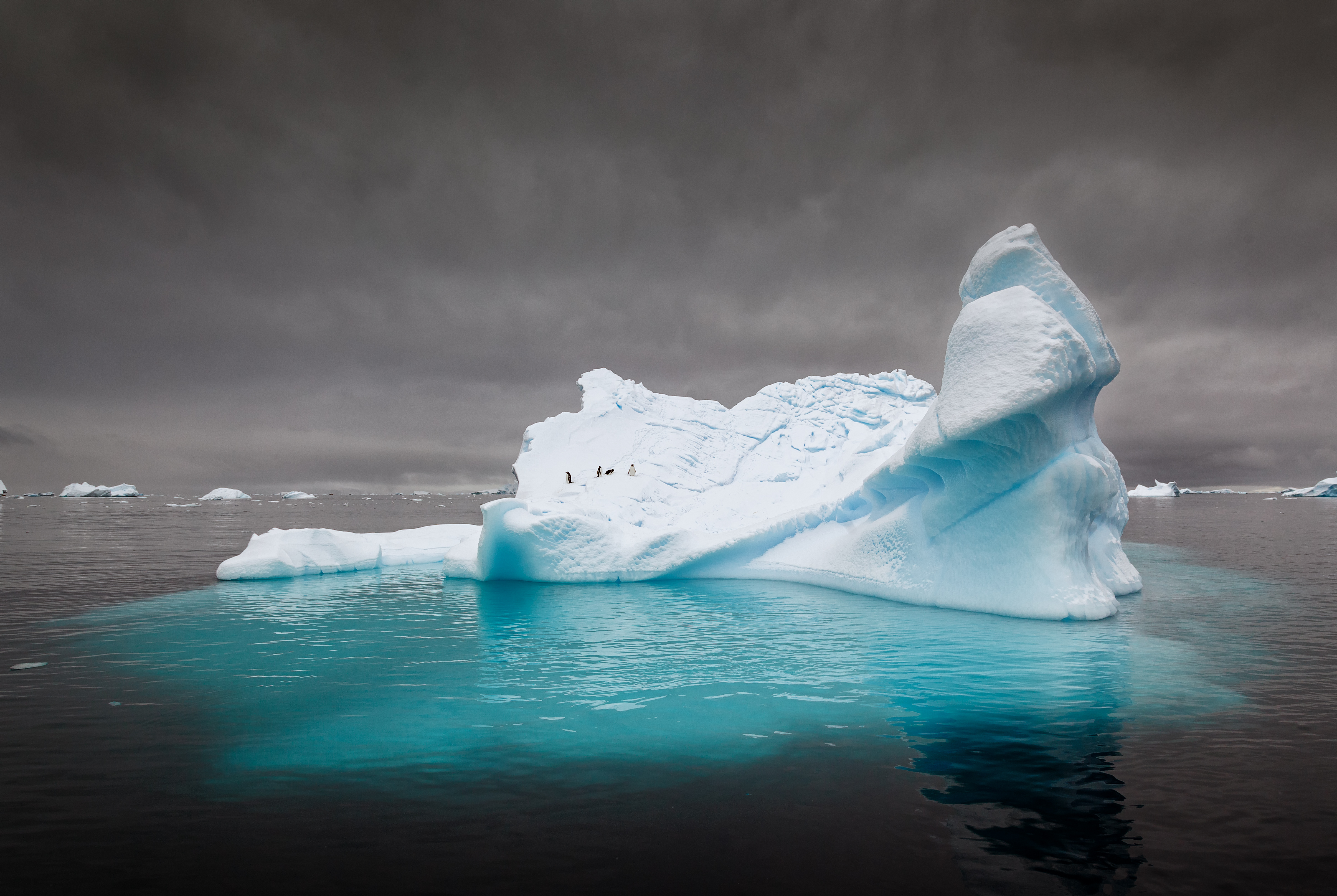 Grandma Swept out to Sea on Iceberg Becomes Winter Queen