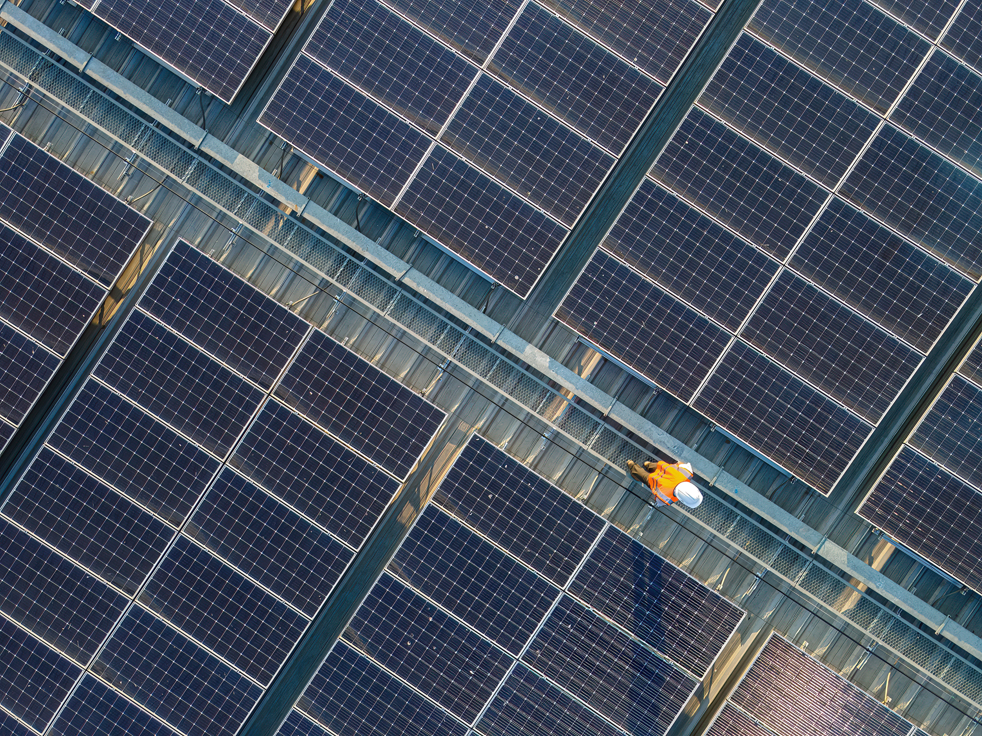 Six Truths About Climate Action All Companies Should Know