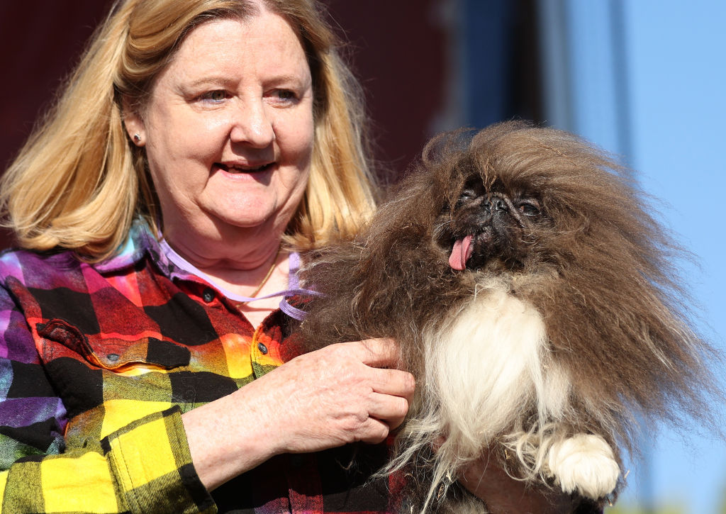 Meet the 2024 Winner of the 'World's Ugliest Dog' Contest