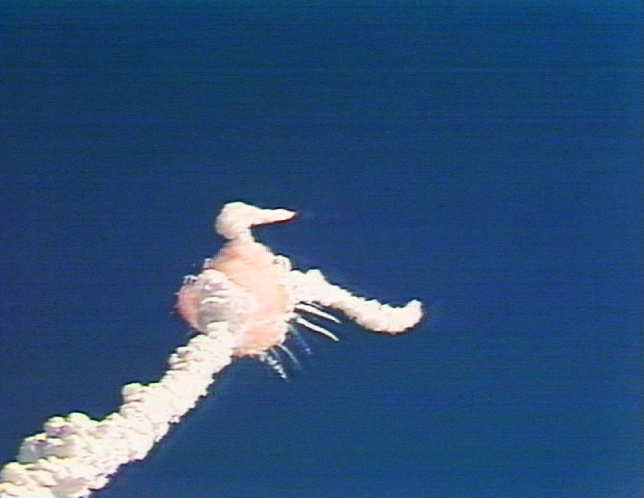 See the Most Iconic Photos in Space Travel History