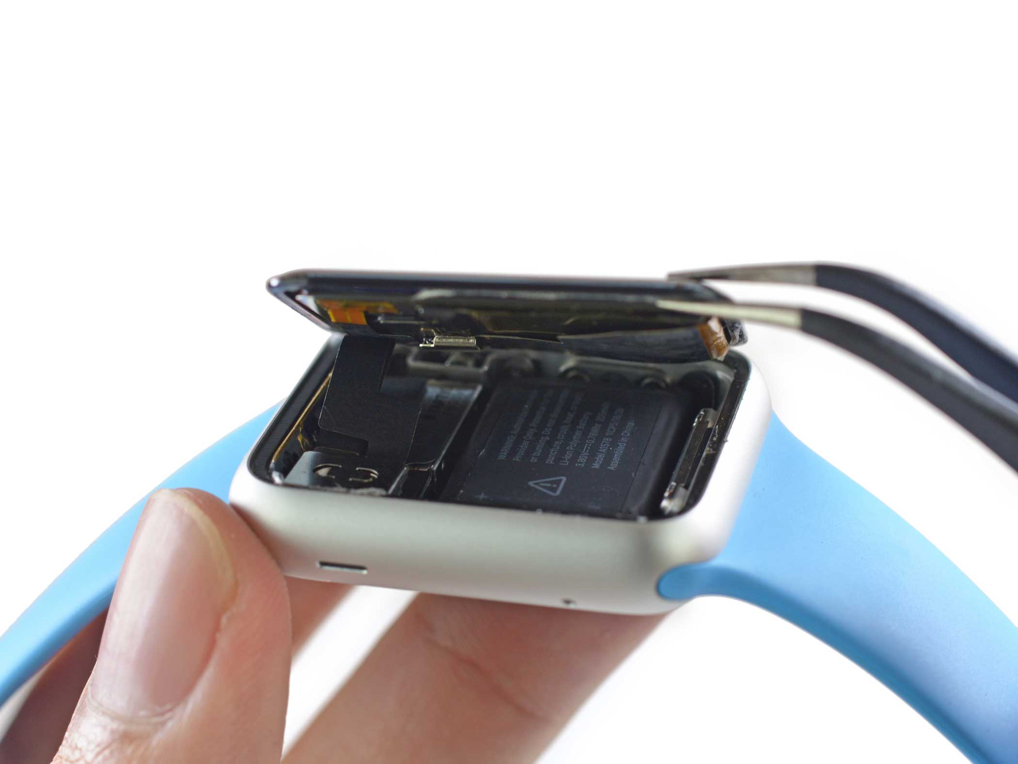 See What's Inside the Apple Watch