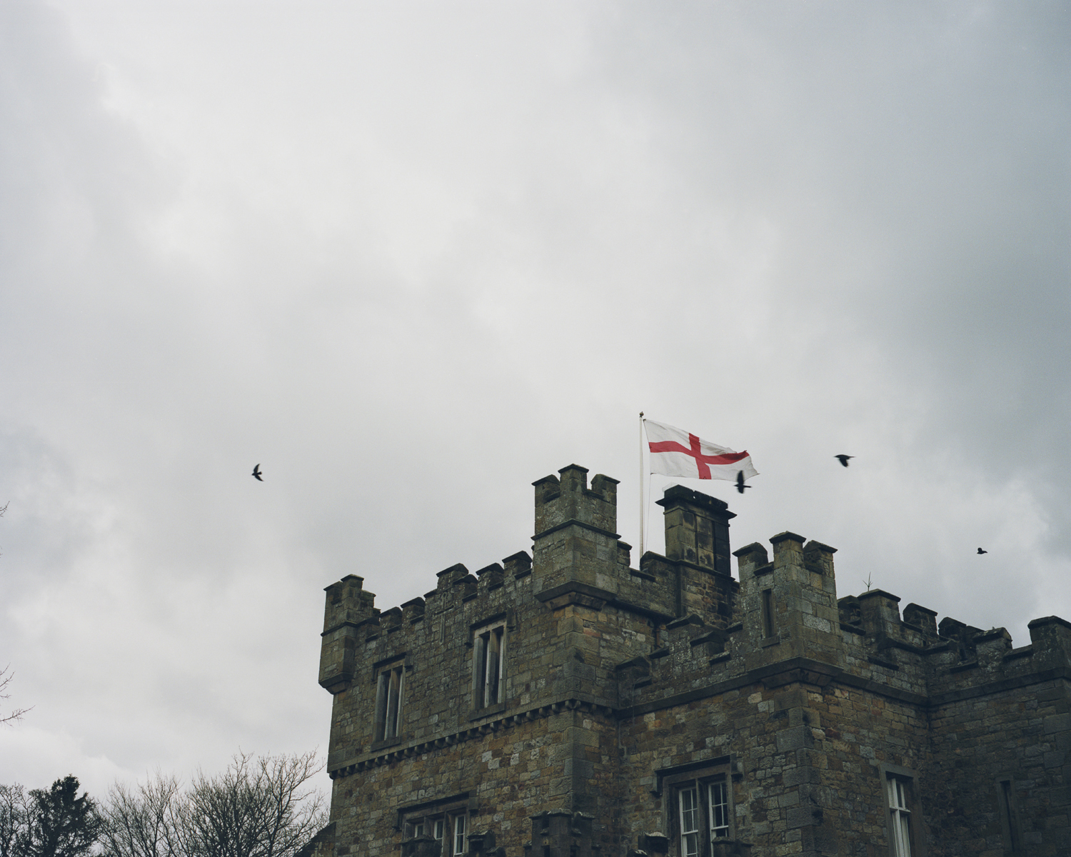 David Cameron, Pig-Gate, and the British Media Machine